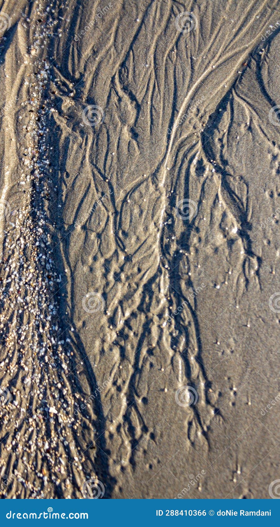 The Artistic Texture of Sand Surface on a Beach after Soft Waves Stock ...