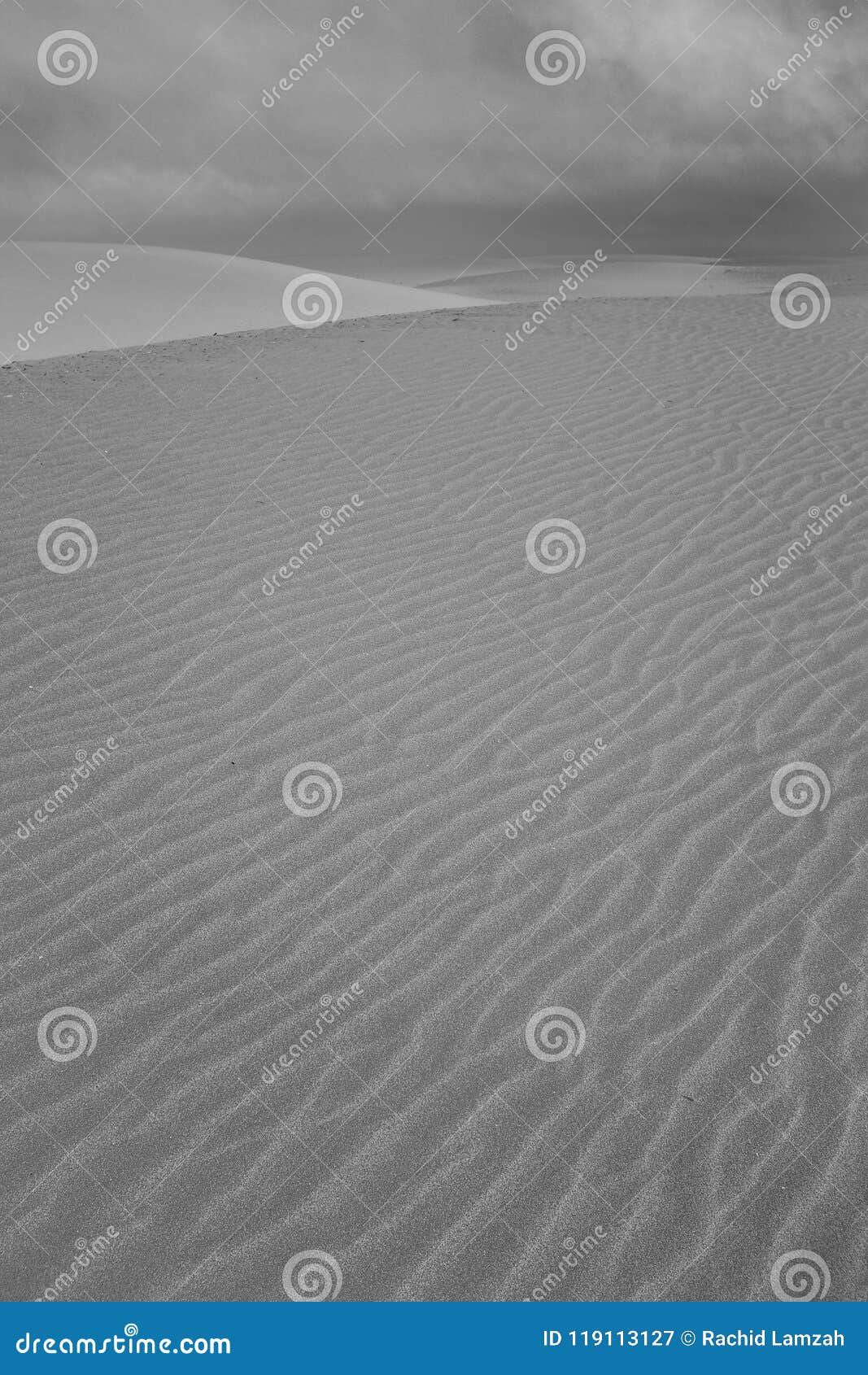 Grey dunes editorial photography. Image of grey, scale - 119113127