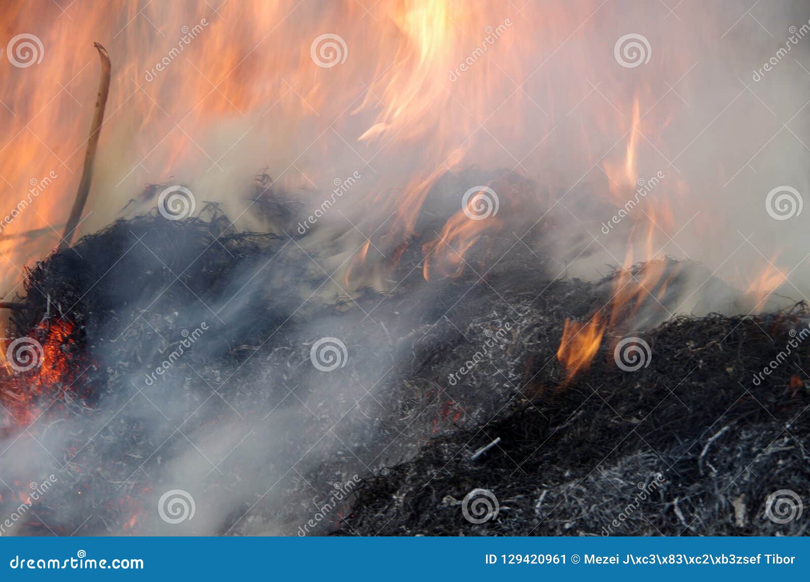 Fire and Smoke stock image. Image of artistic, details - 129420961