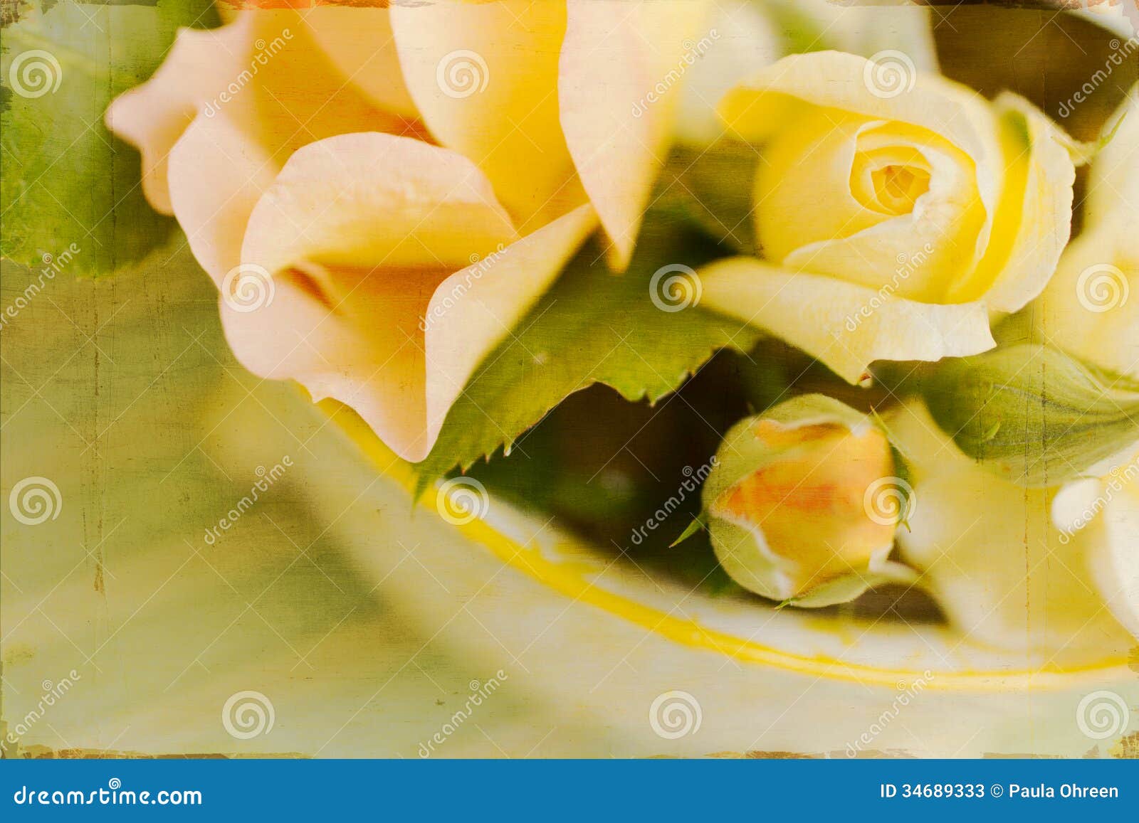 Artistic Vintage Yellow Roses Stock Image - Image of white, decor: 34689333