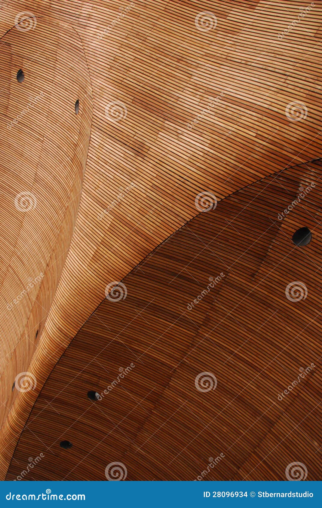Artistic Wooden Panel Ceiling on Senedd Building Stock Photo - Image of ...