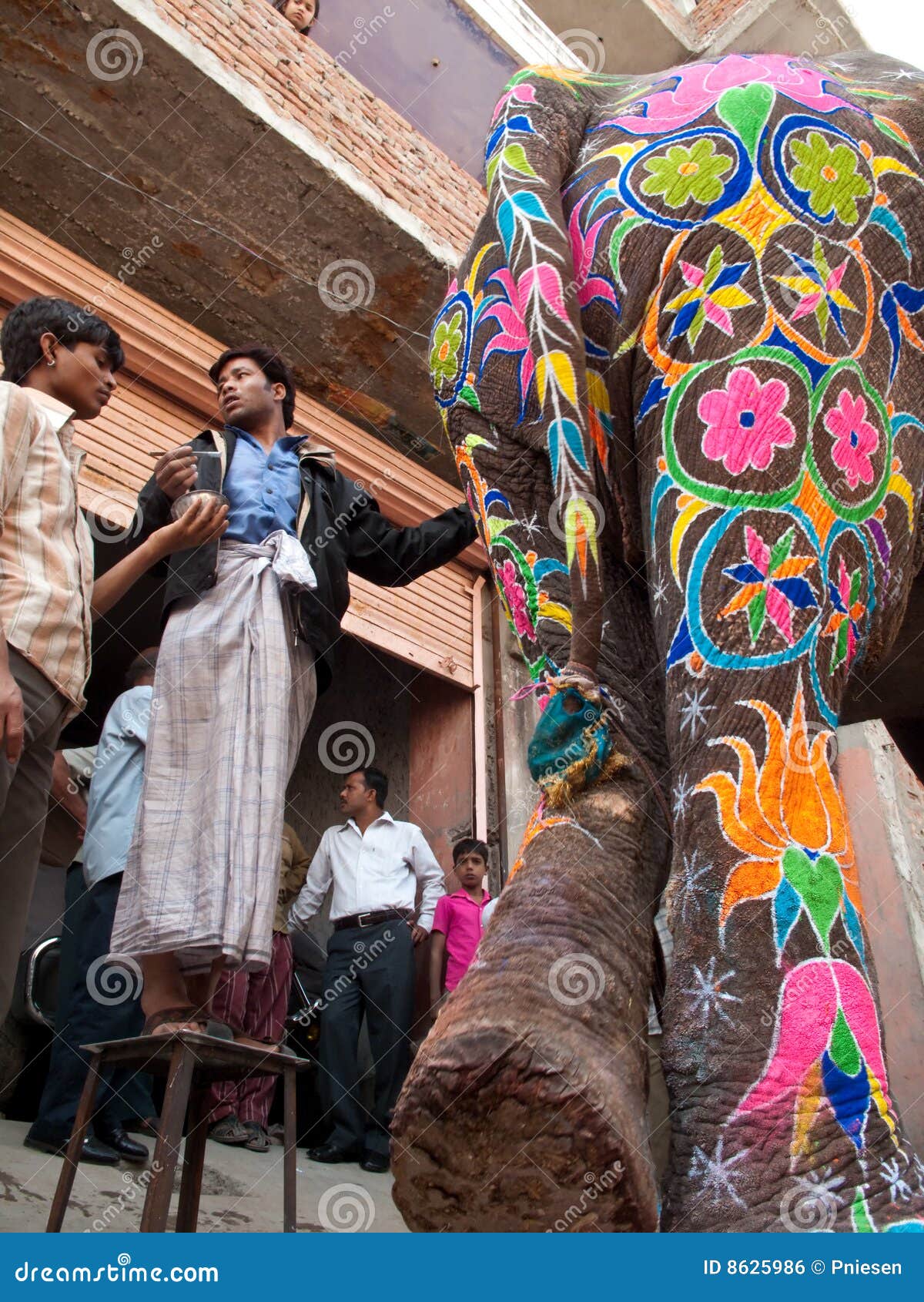 Artists Paint Elephant with Bright Colors Editorial Photo - Image of ...
