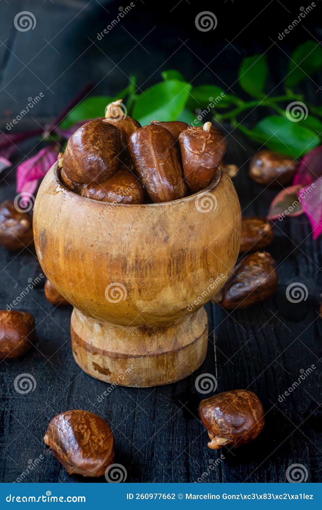 Artocarpus Altilis, Rich Exotic Fruit Called Breadfruit or Fruti Pan ...