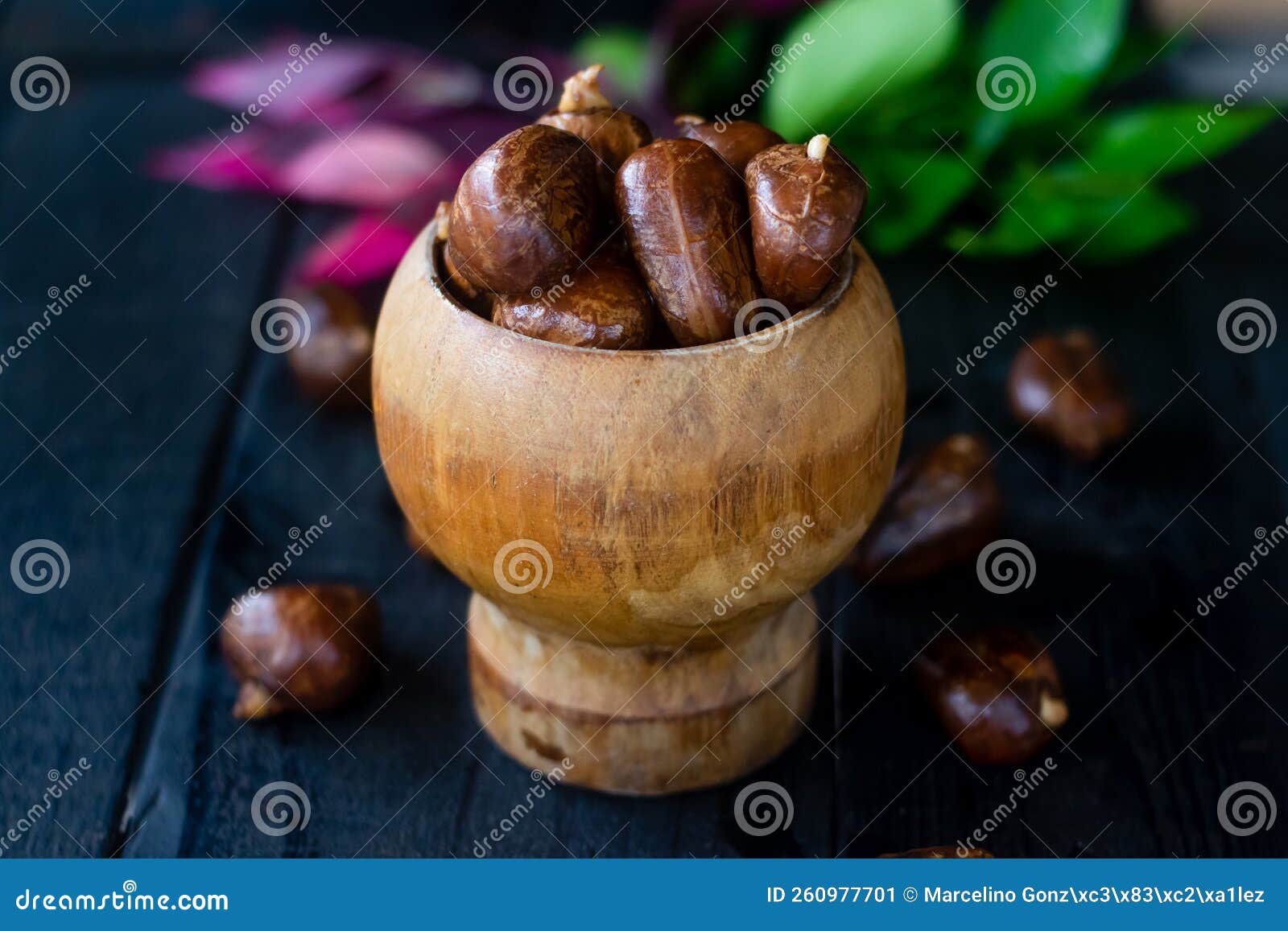 Artocarpus Altilis, Rich Exotic Fruit Called Breadfruit or Fruti Pan ...