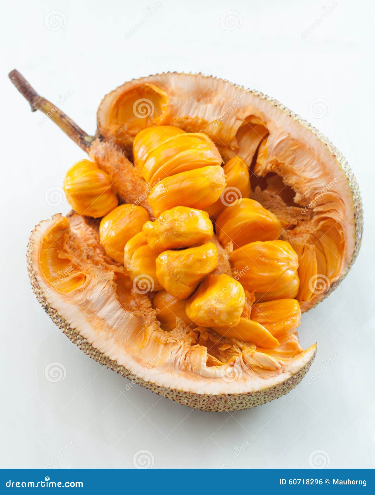 Artocarpus Integer, Commonly Known As Chempedak Or Cempedak Royalty ...