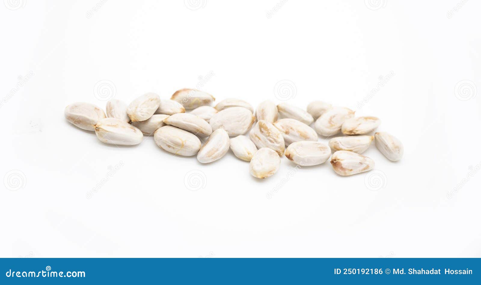 Artocarpus Lacucha, Also Known As Monkey Fruit, or Monkey Jack Seeds ...