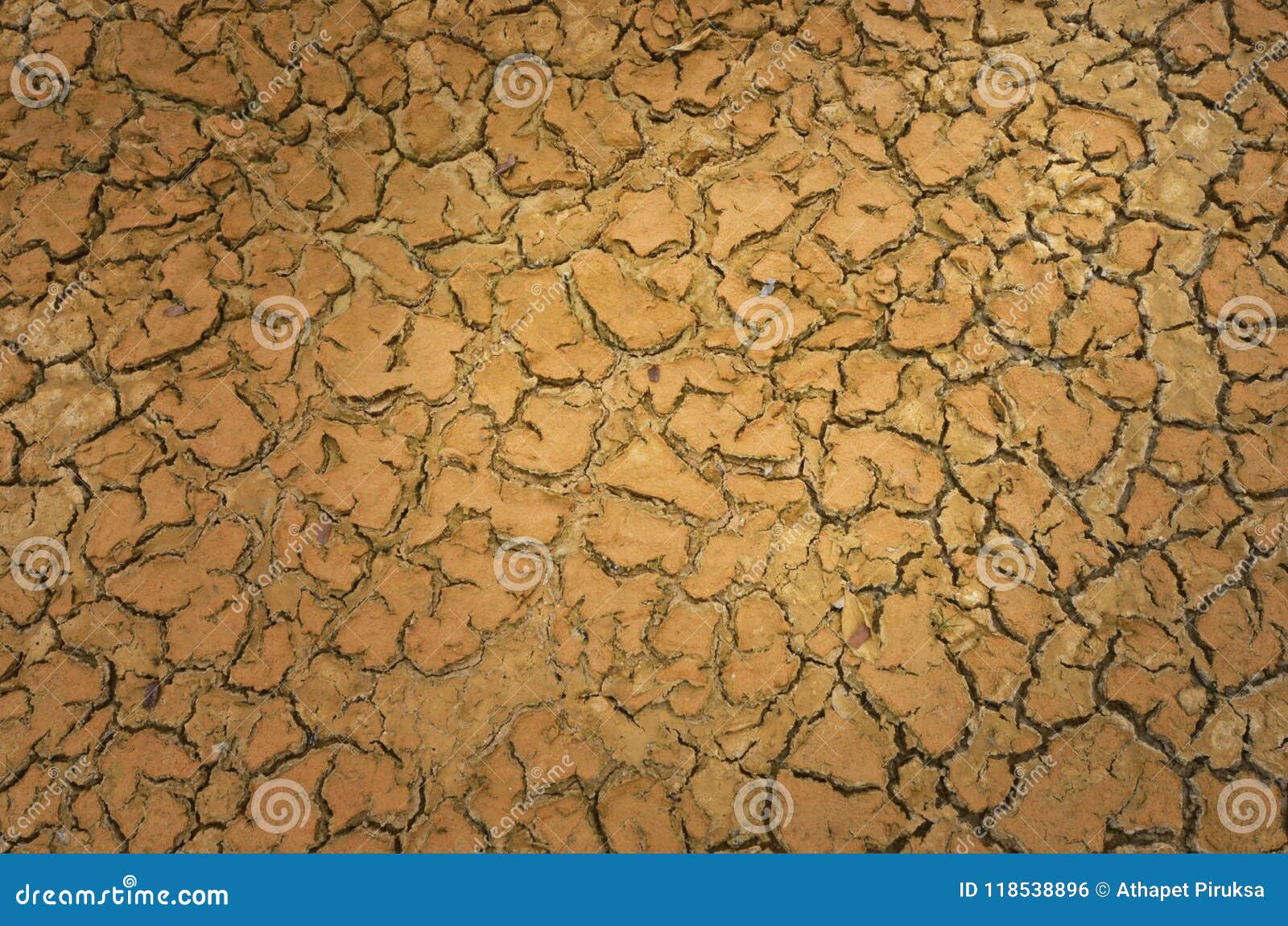 Broken Skin of Earth in the Drought Season Stock Photo - Image of ...
