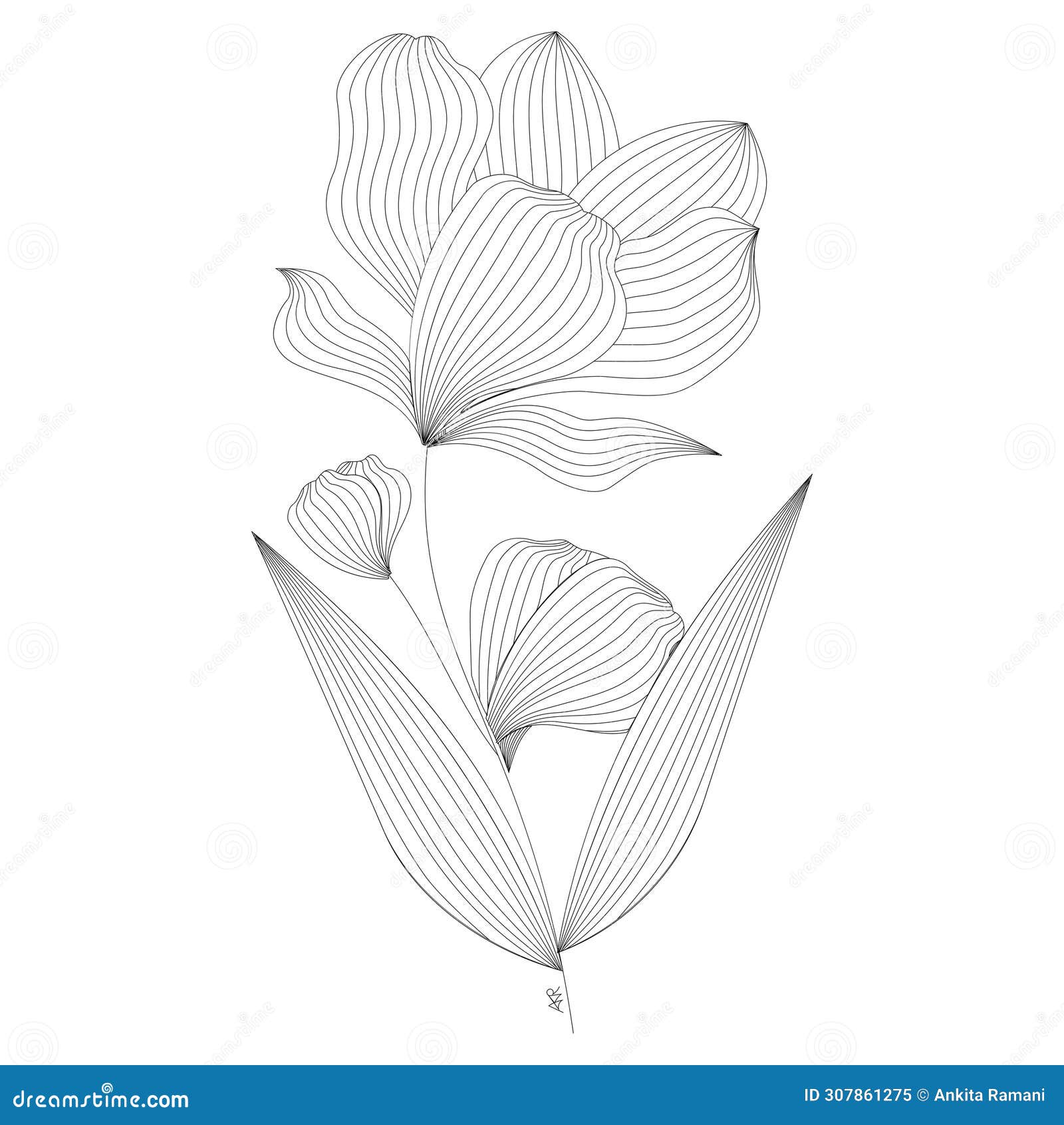 Flower Line Art Work Artwork Stock Illustration - Illustration of used ...