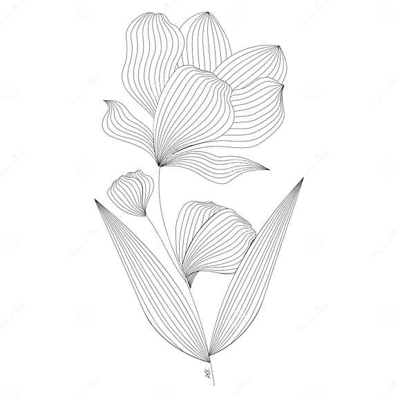 Flower Line Art Work Artwork Stock Illustration - Illustration of used ...