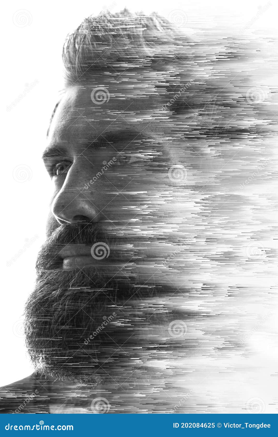 Portrait Combined with a Digital Illustration Stock Image - Image of ...