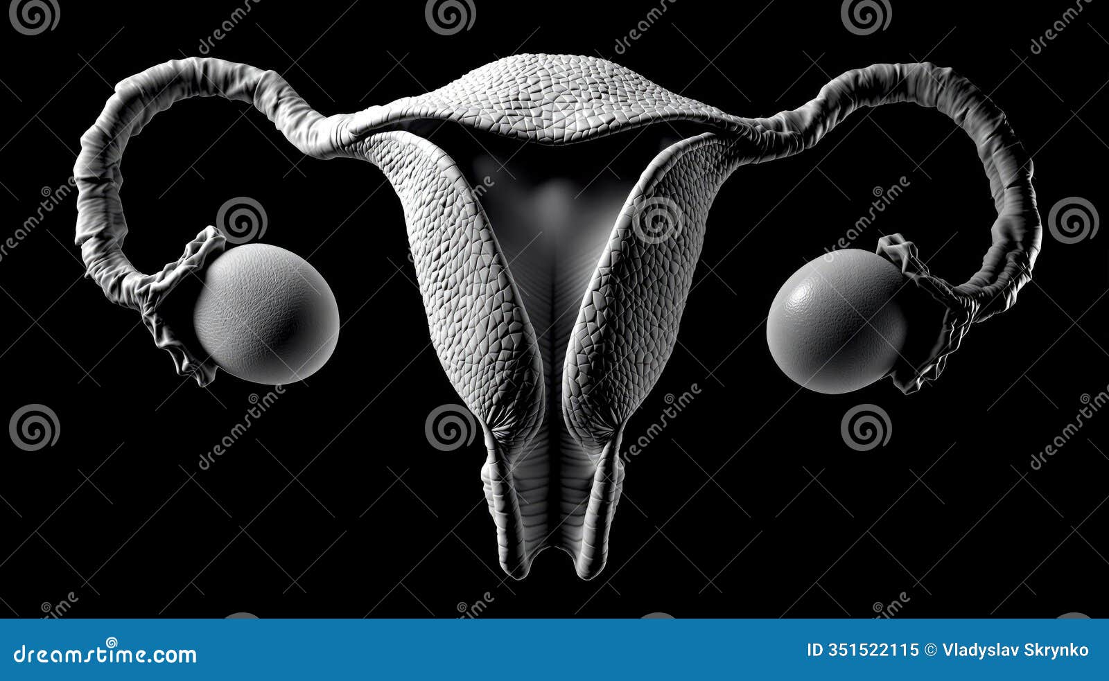 Uterus and Ovaries Representation with Detailed Anatomy. Generative AI ...