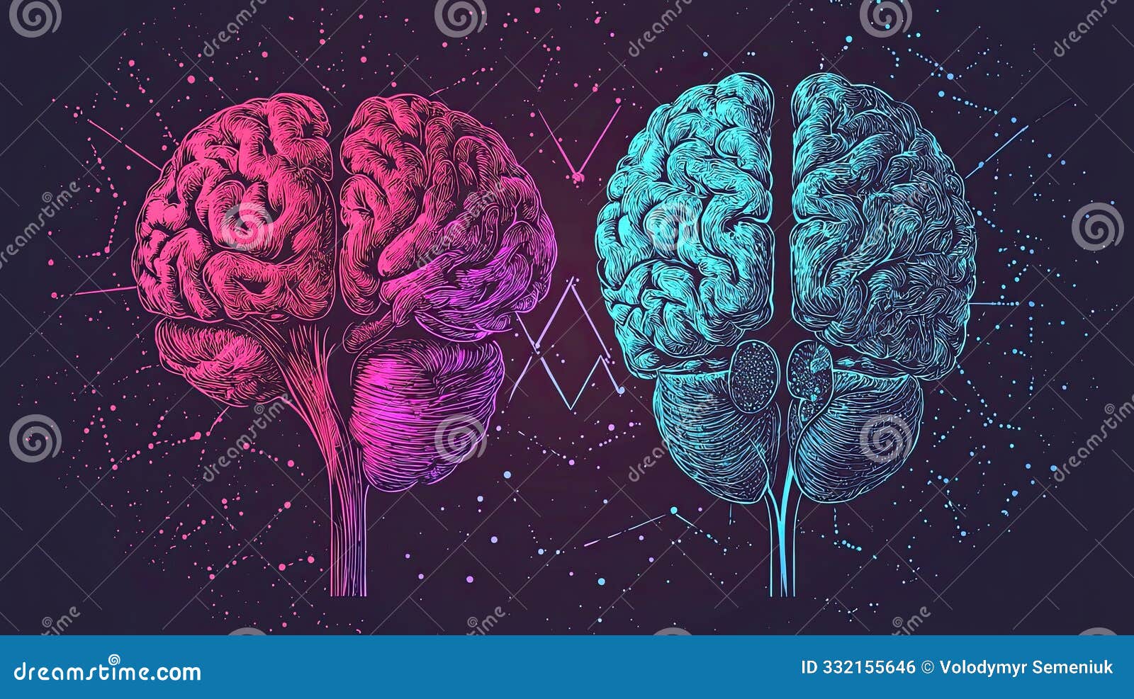 Exploring the Connection between Brain and Heart in Human Vascular ... Exploring the Connection between Brain and Heart in Human Vascular ...