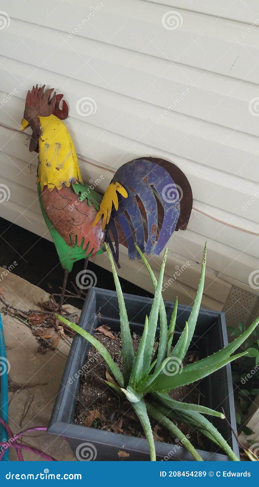 Artwork Project the Old Rusty Rooster Stock Image - Image of outdoor ...