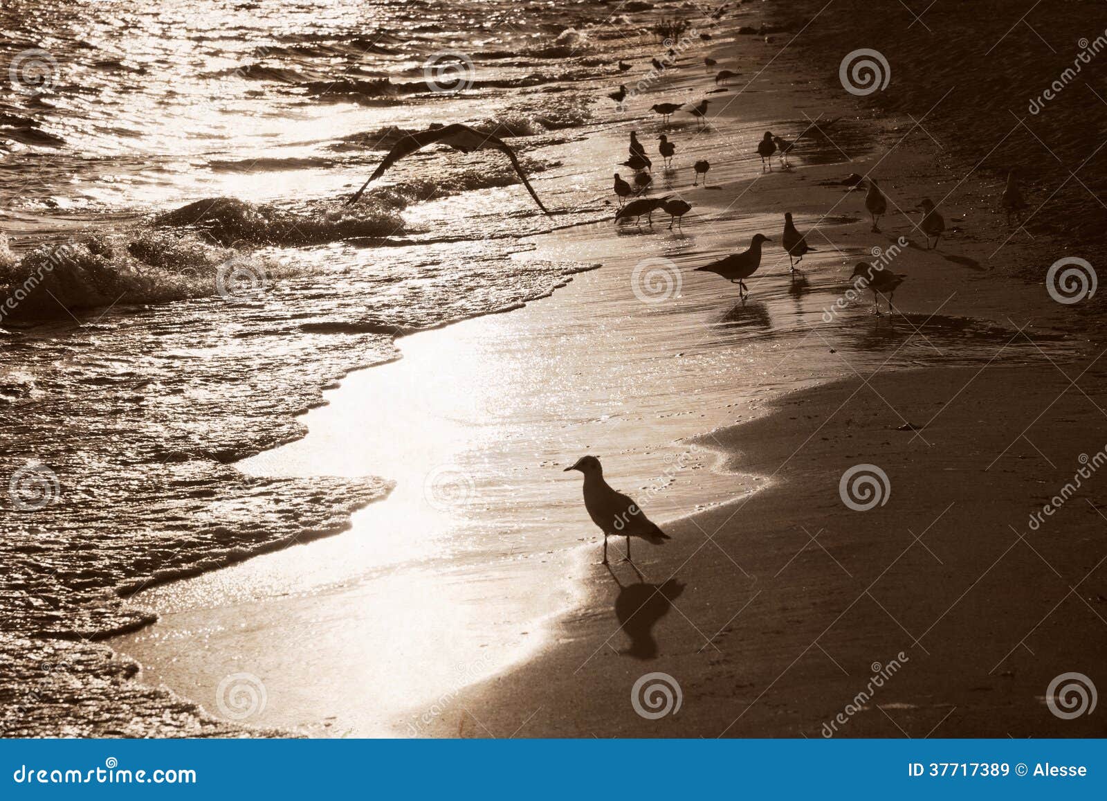 Artwork in Retro Style, Sea Stock Image - Image of monochromw, vintage ...