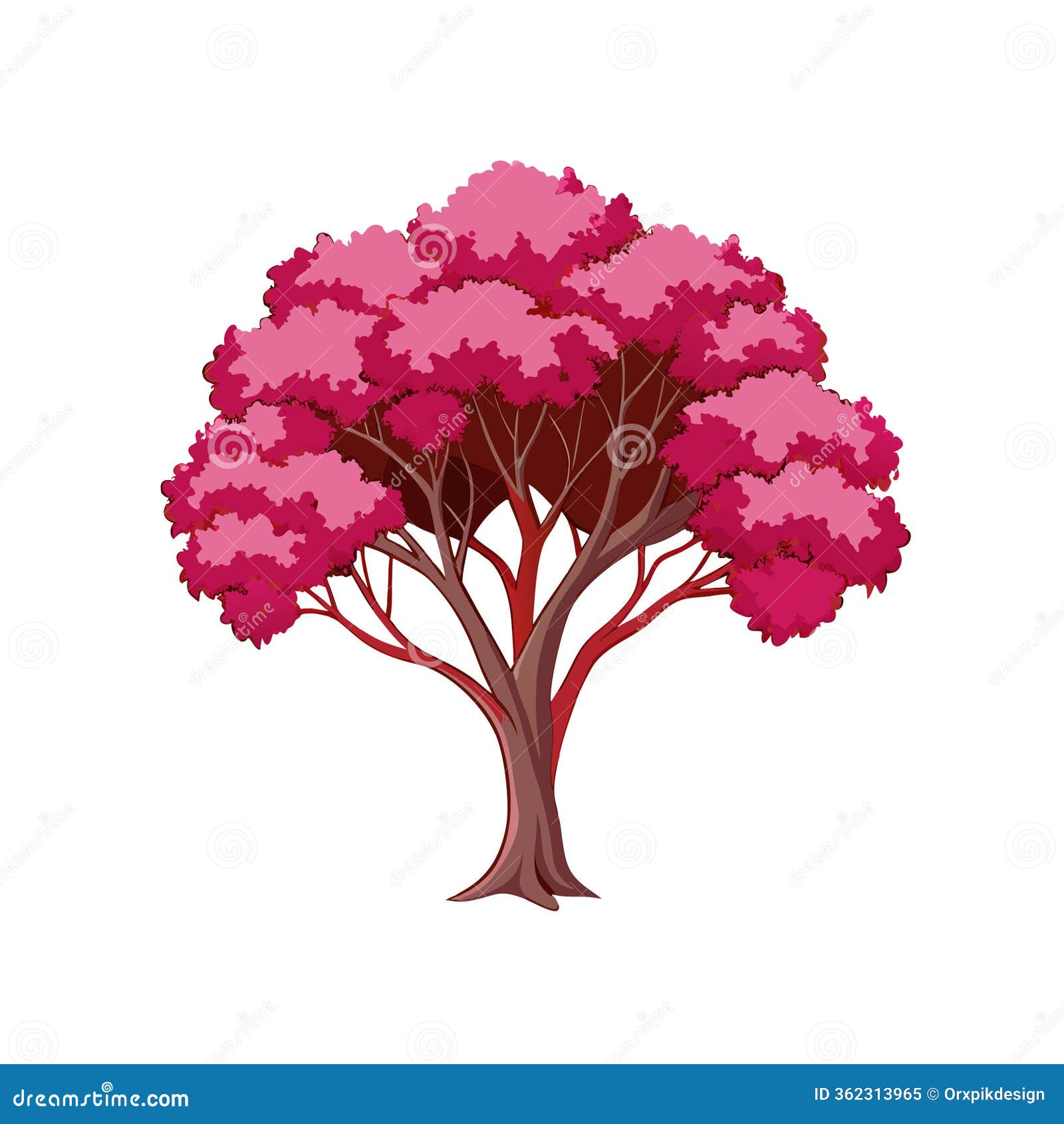 Bold Crape Myrtle Tree Illustration On White Background Royalty-Free ...