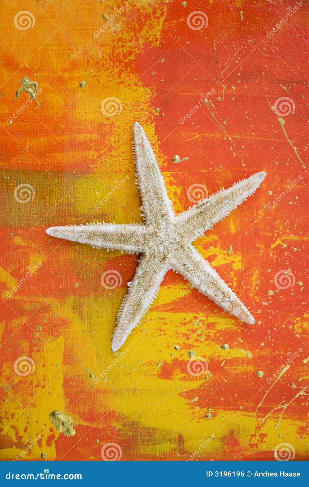 Artwork with starfish stock photo. Image of artwork, acrylic - 3196196