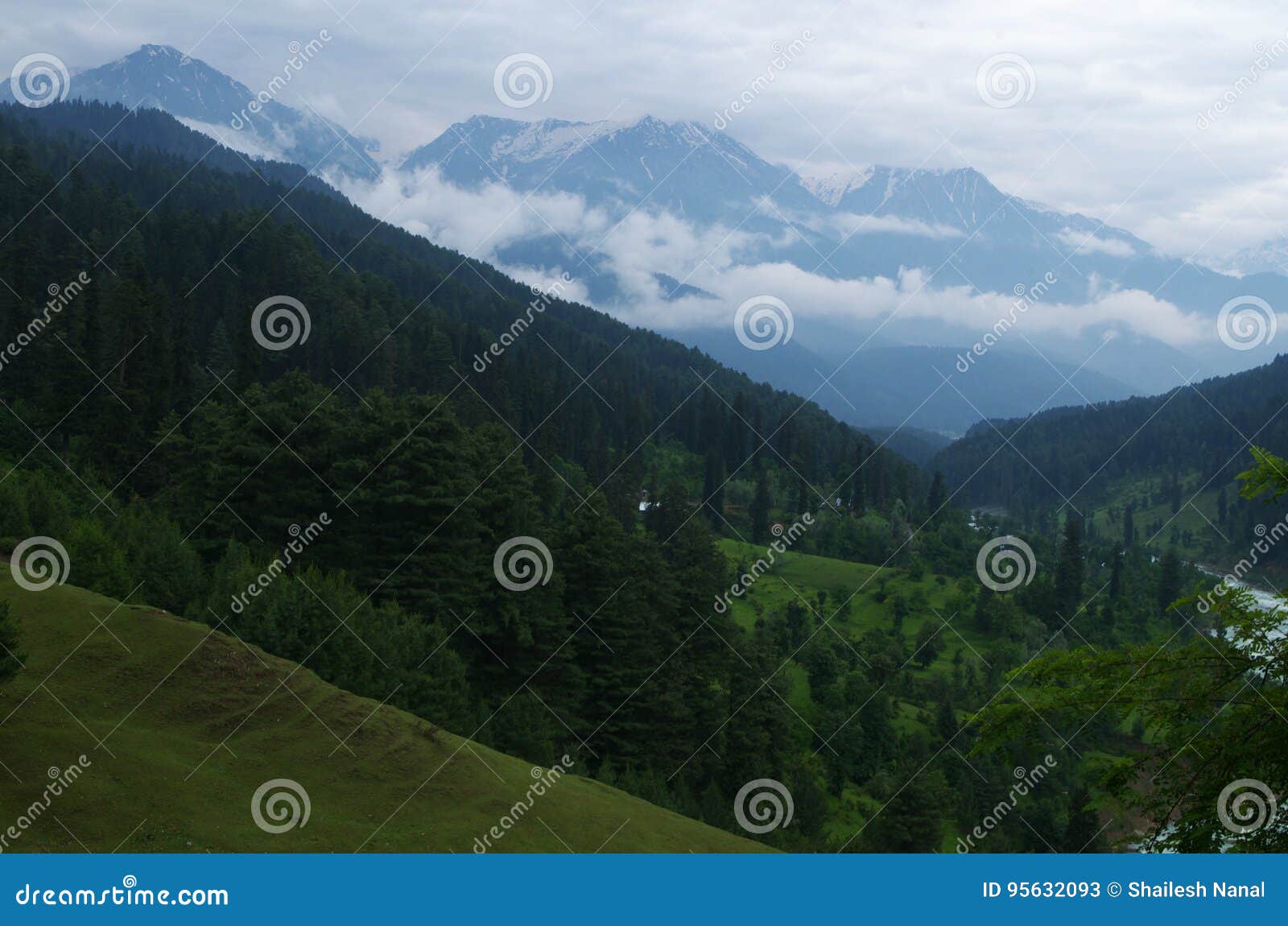Aru valley in Pahalgam stock image. Image of green, indian - 95632093
