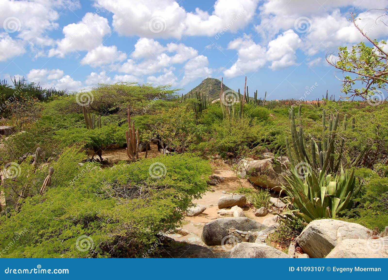 Aruba Landscape stock image. Image of clouds, aruba, island - 41093107