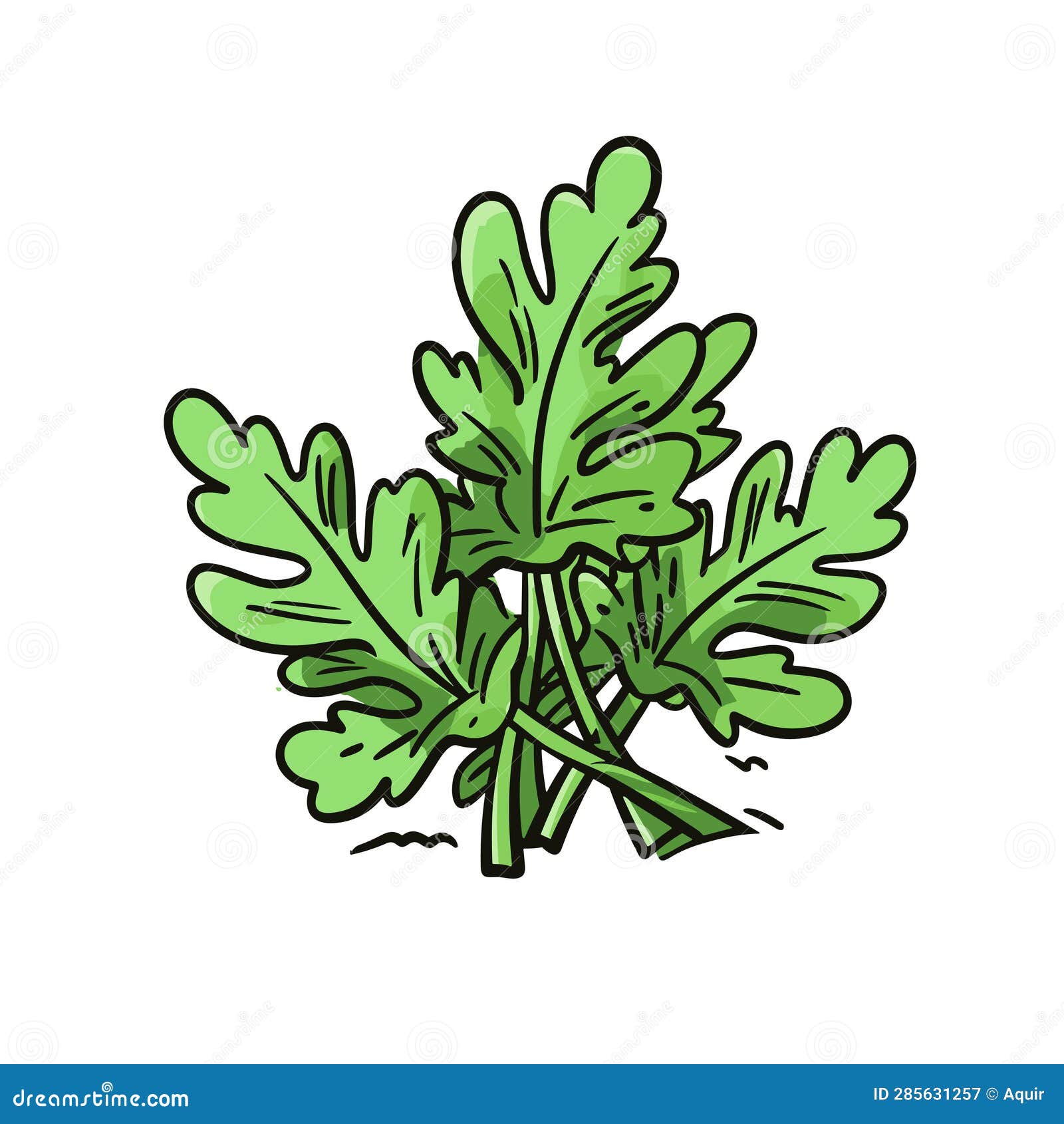 Arugula Hand-drawn Illustration. Arugula. Vector Doodle Style Cartoon ...