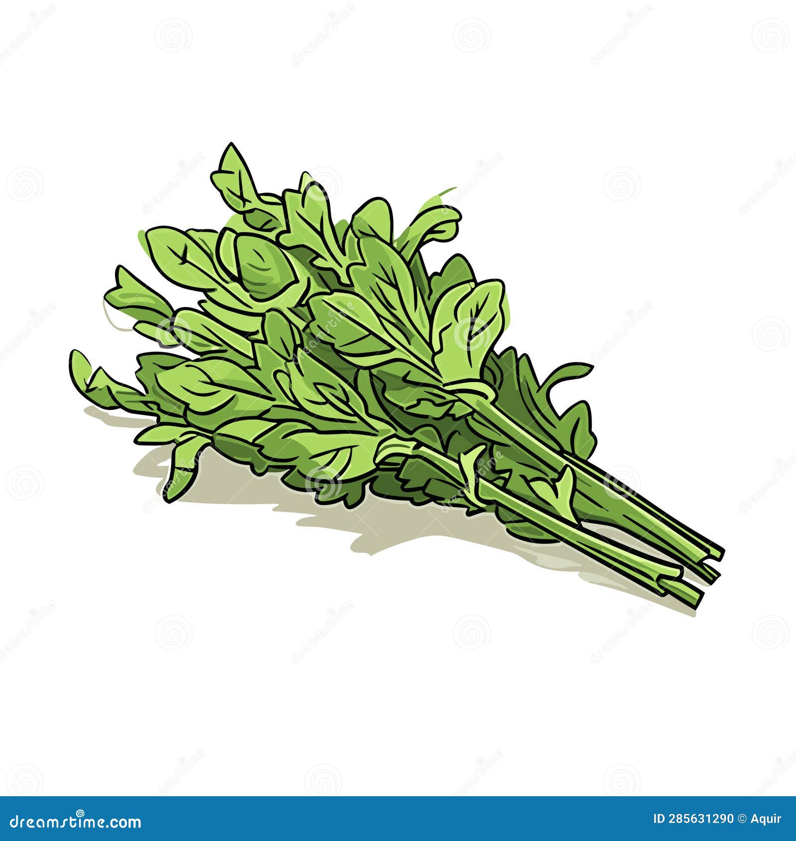 Arugula Hand-drawn Illustration. Arugula. Vector Doodle Style Cartoon ...