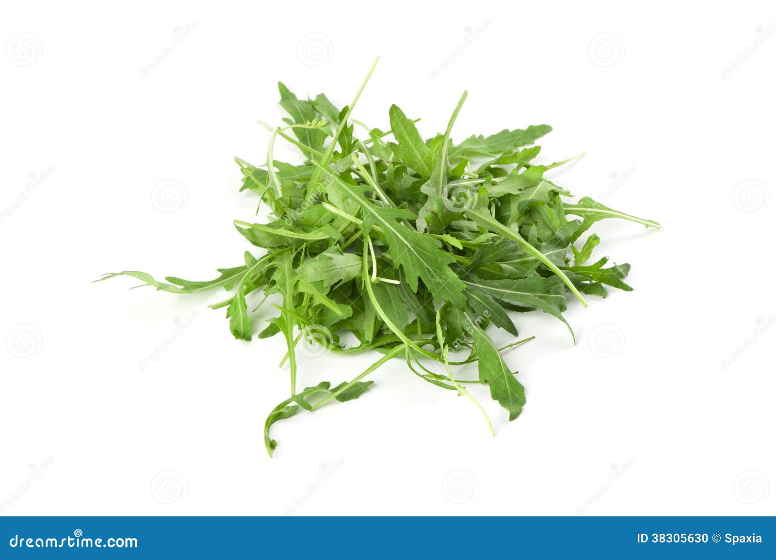 Arugula leaves stock photo. Image of closeup, herb, lifestyle - 38305630