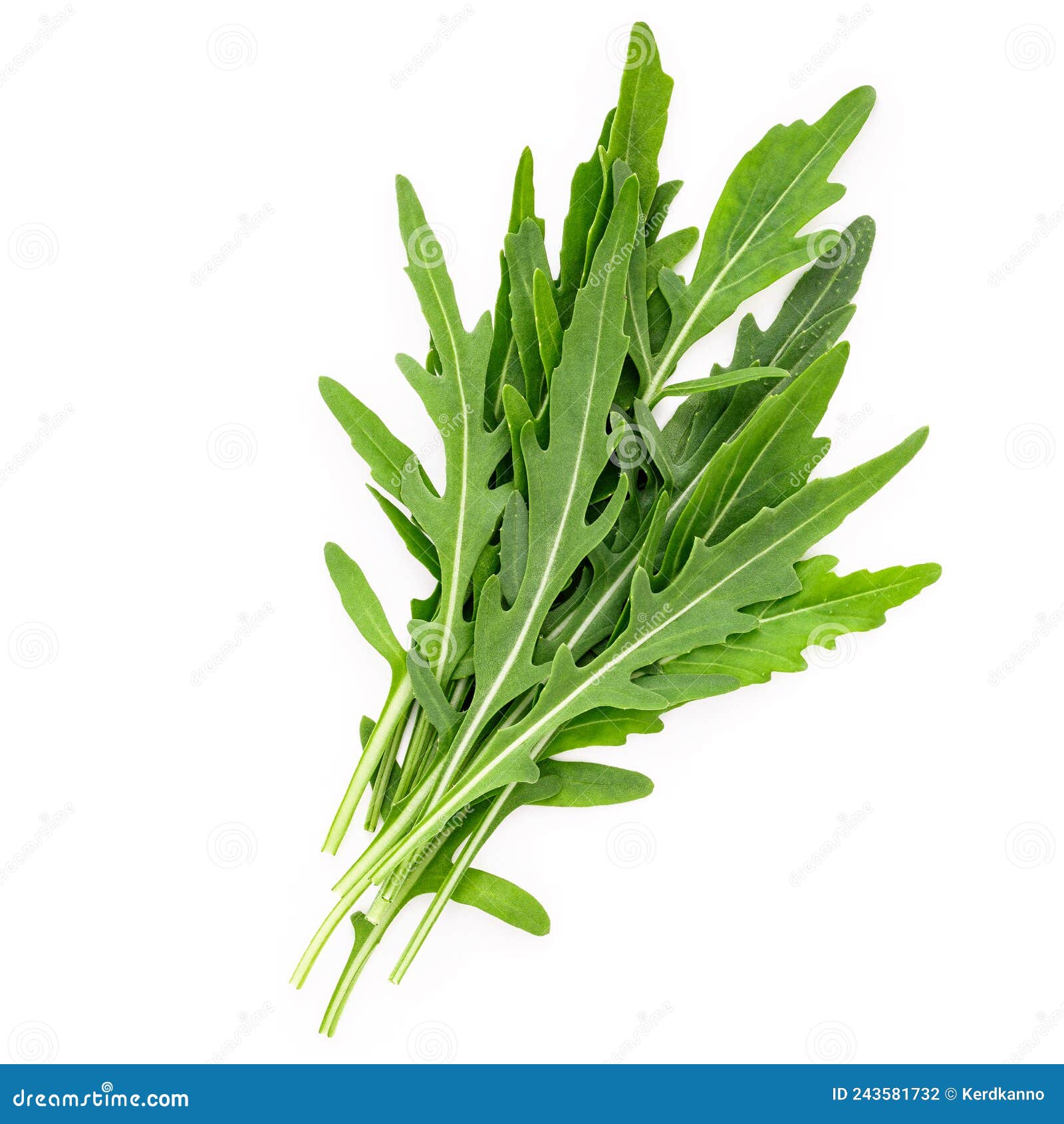 Arugula Leaves Isolated on White Background. Closeup Fresh Wild Rocket ...