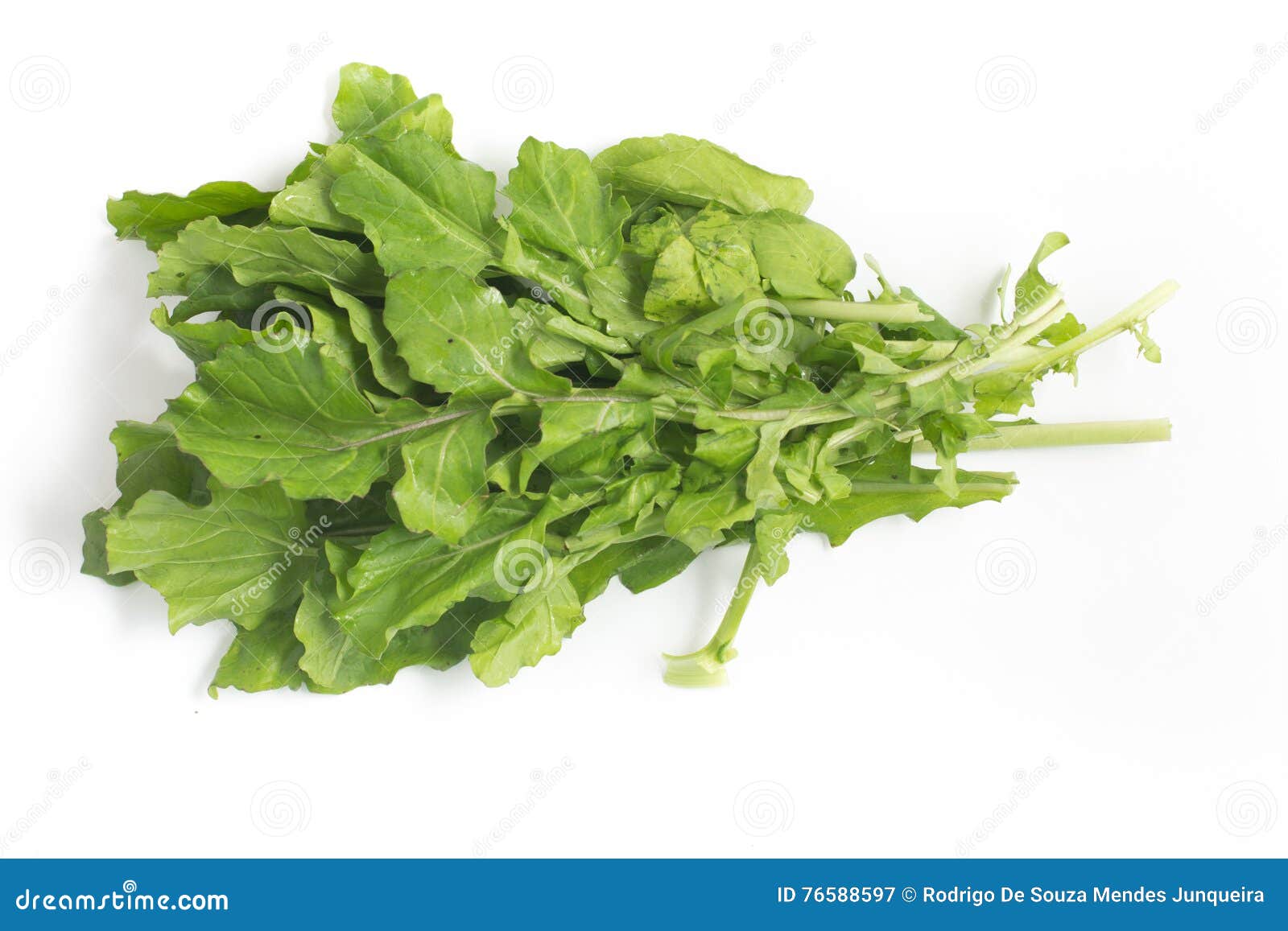 Arugula Leaves. Rucula stock image. Image of plant, macro - 76588597