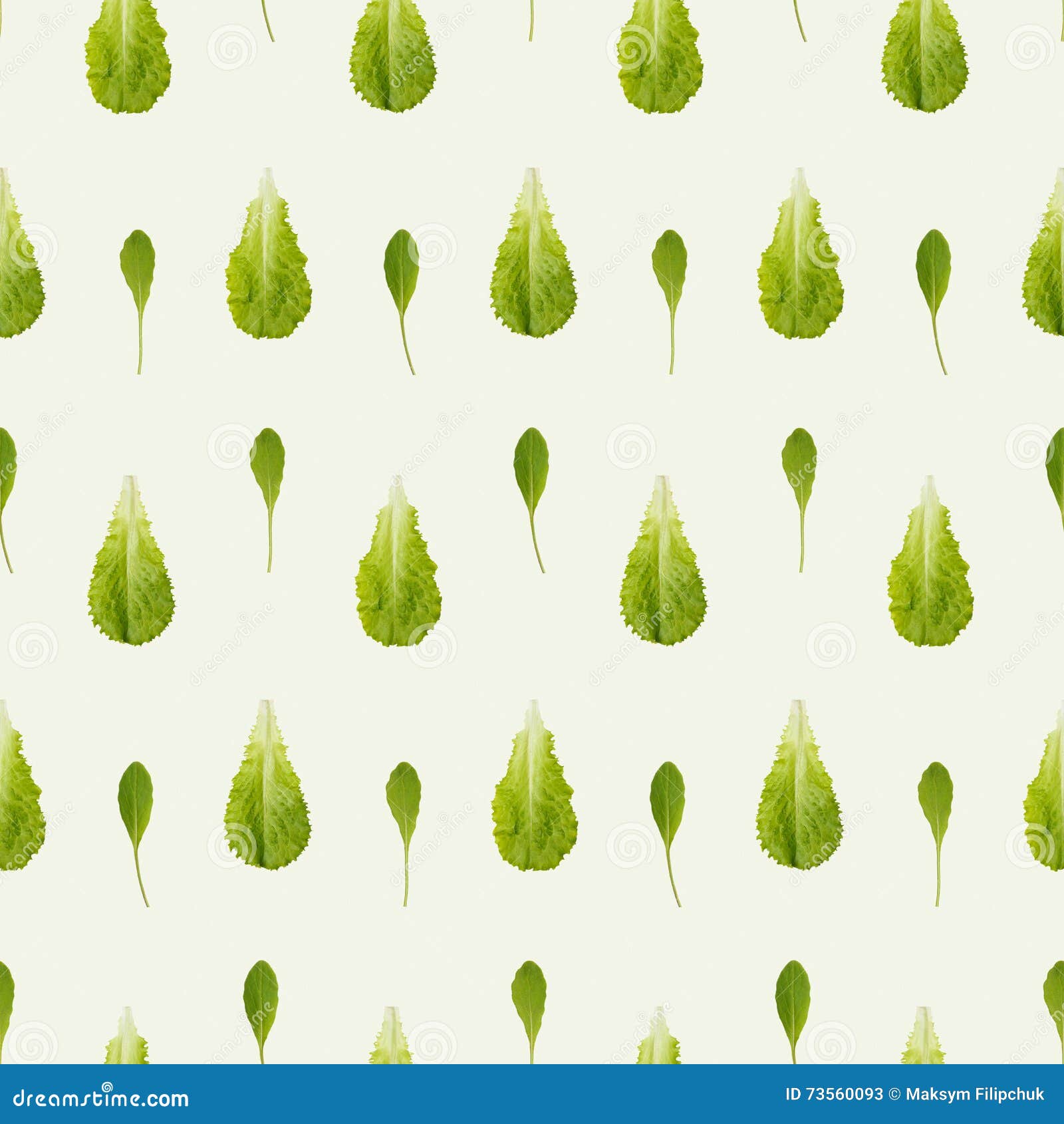 Arugula and Lettuce Seamles Pattern Stock Image - Image of lettuce ...