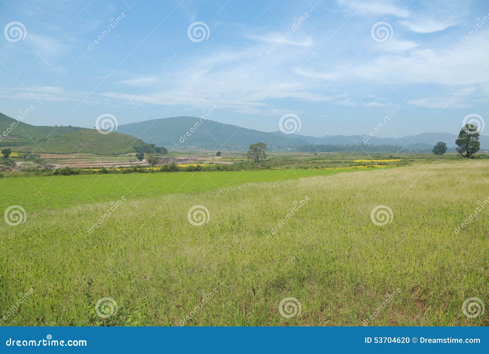 Aruku stock photo. Image of happy, happiness, aruku, step - 53704620