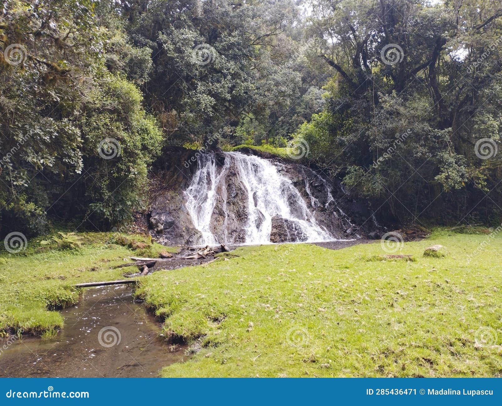 Arusha National Park Waterfall Stock Image - Image of nature, park ...