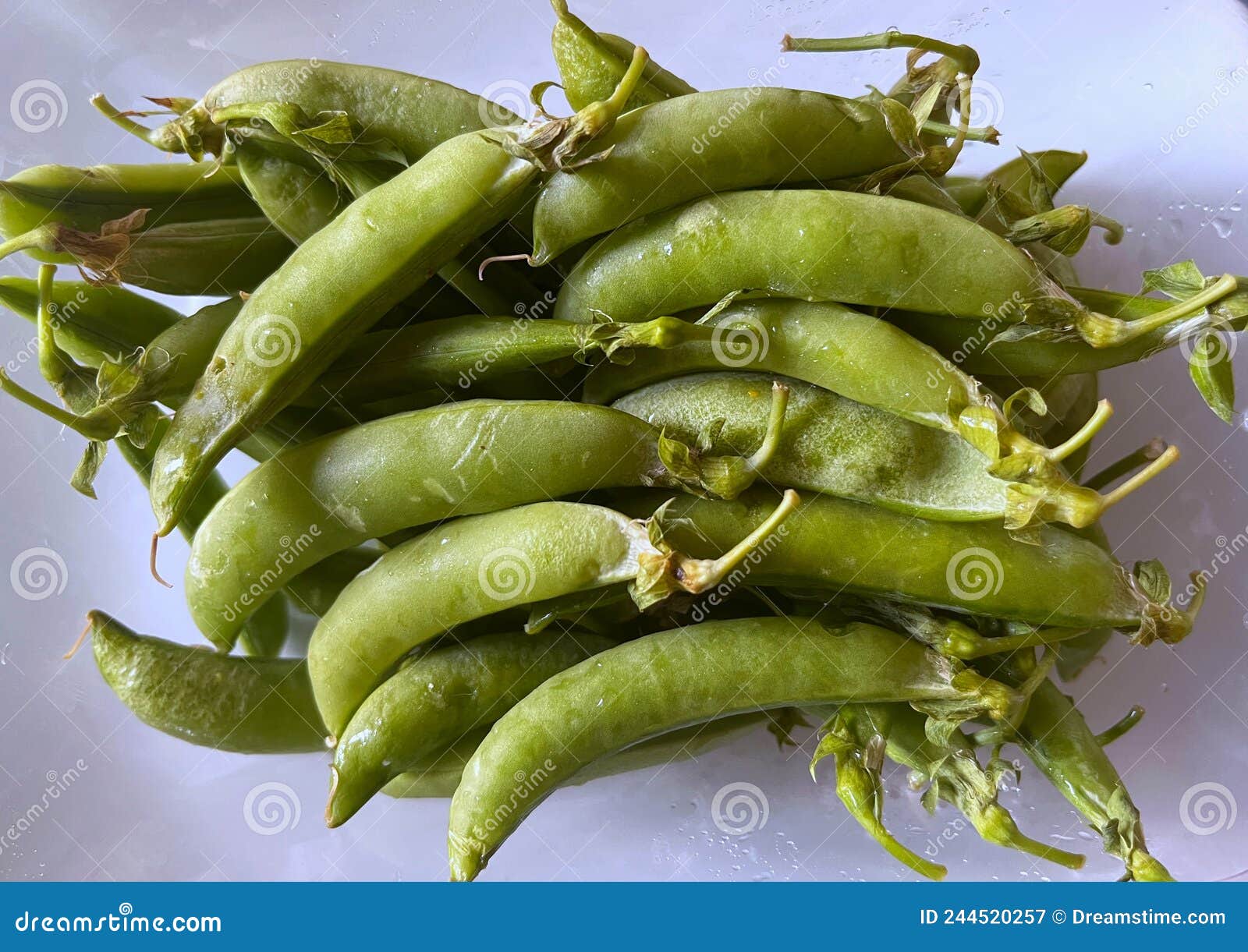 Arvejas verdes imagen de archivo. Imagen de portillas - 244520257