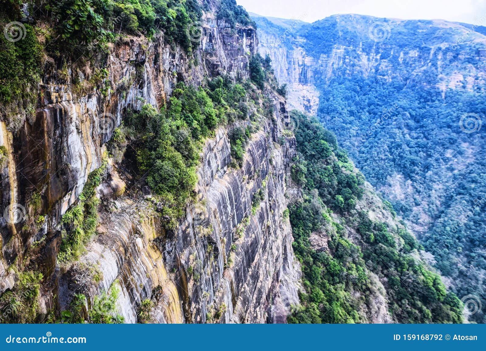 Arwah Cave Gorge, Cherrapunji, India Stock Photo - Image of tree ...