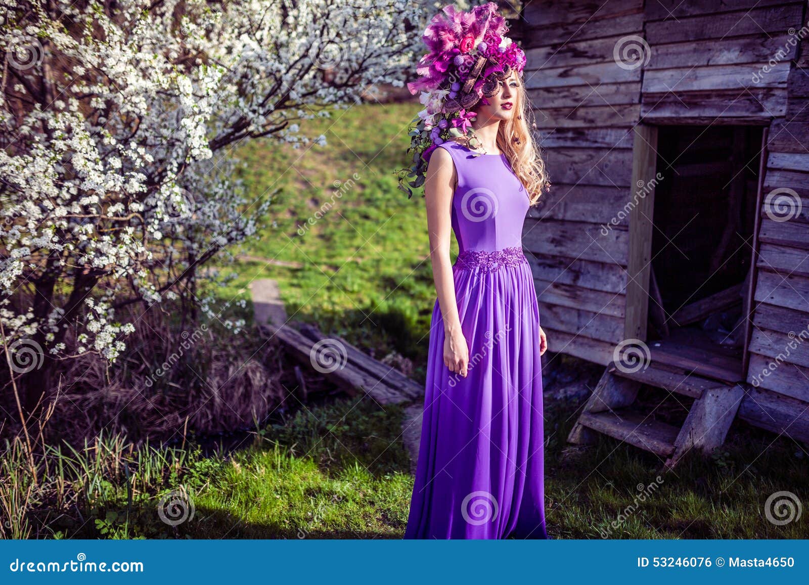 As fadas são reais foto de stock. Imagem de coroa, conceptual - 53246076
