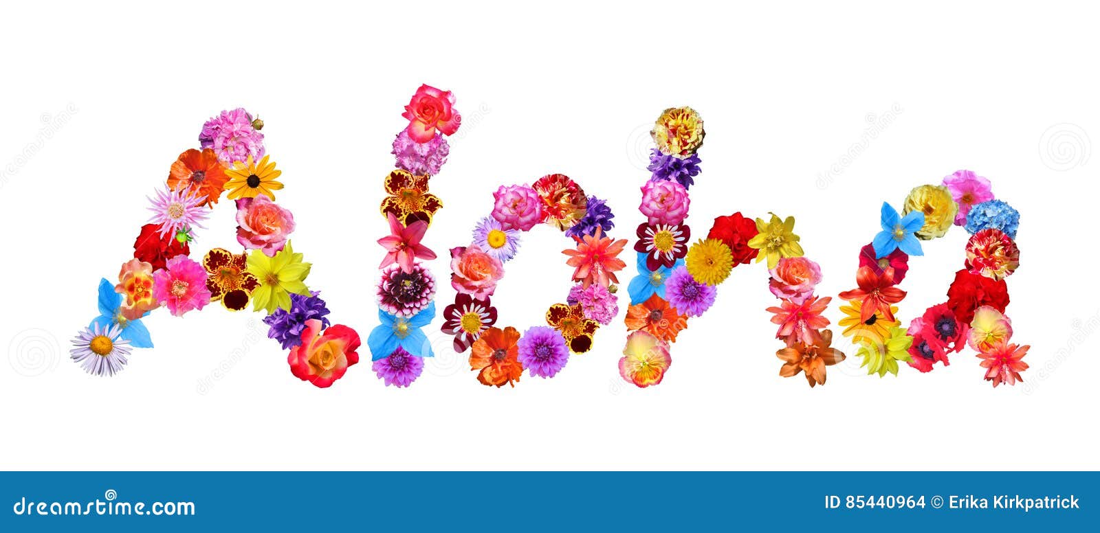 As flores exprimem Aloha ilustração stock. Ilustração de havaiano ...