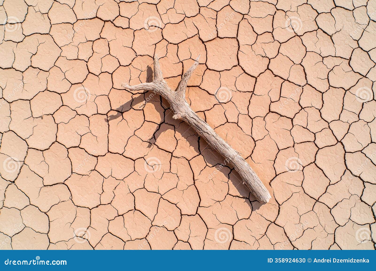 Drought And Water Scarcity Concept With Plastic Bottle With Fresh Water ...