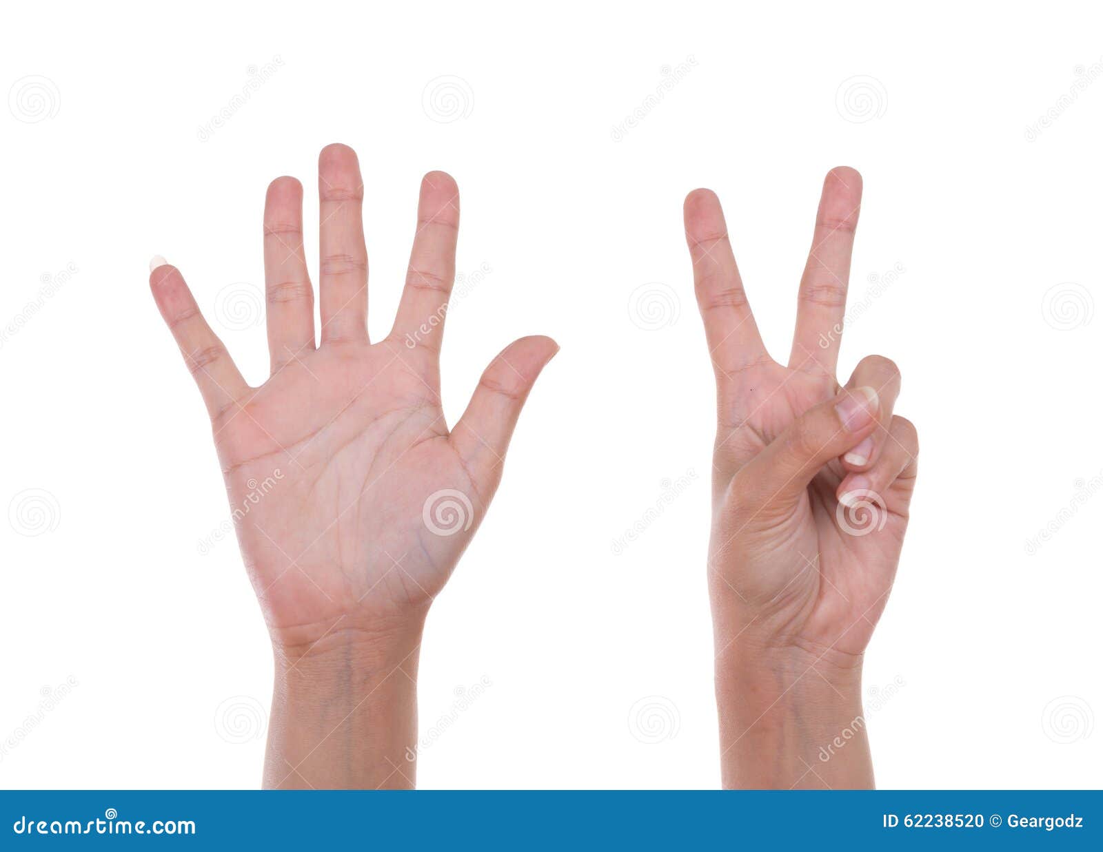 As Mãos Mostram O Número Sete Foto de Stock - Imagem de mostra, adulto ...