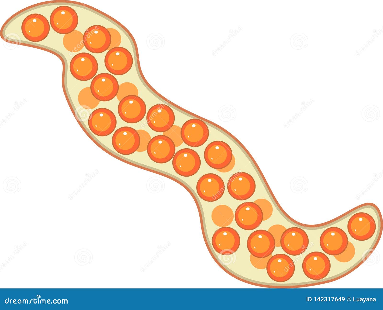 As ovas isolaram-se ilustração do vetor. Ilustração de ovos - 142317649