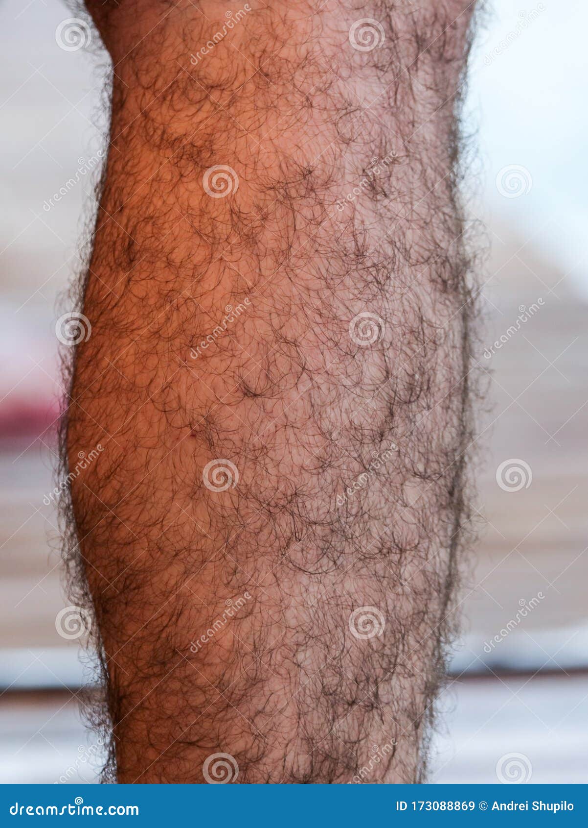As Pernas Peludas De Um Homem Imagem de Stock - Imagem de cuidado ...