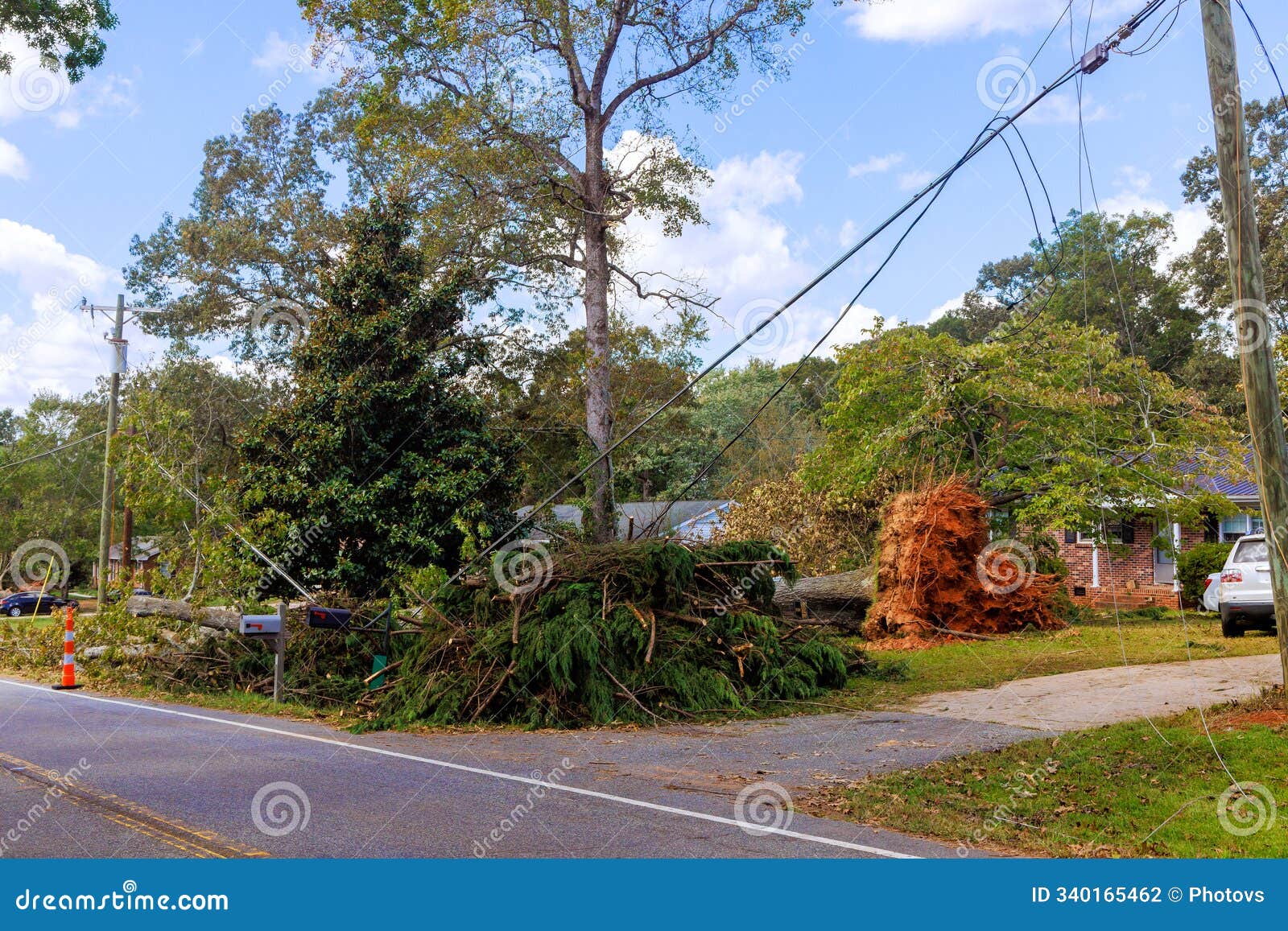 As Result of Stormy Hurricane, Strong Winds Uprooted Tree on a Ground ...