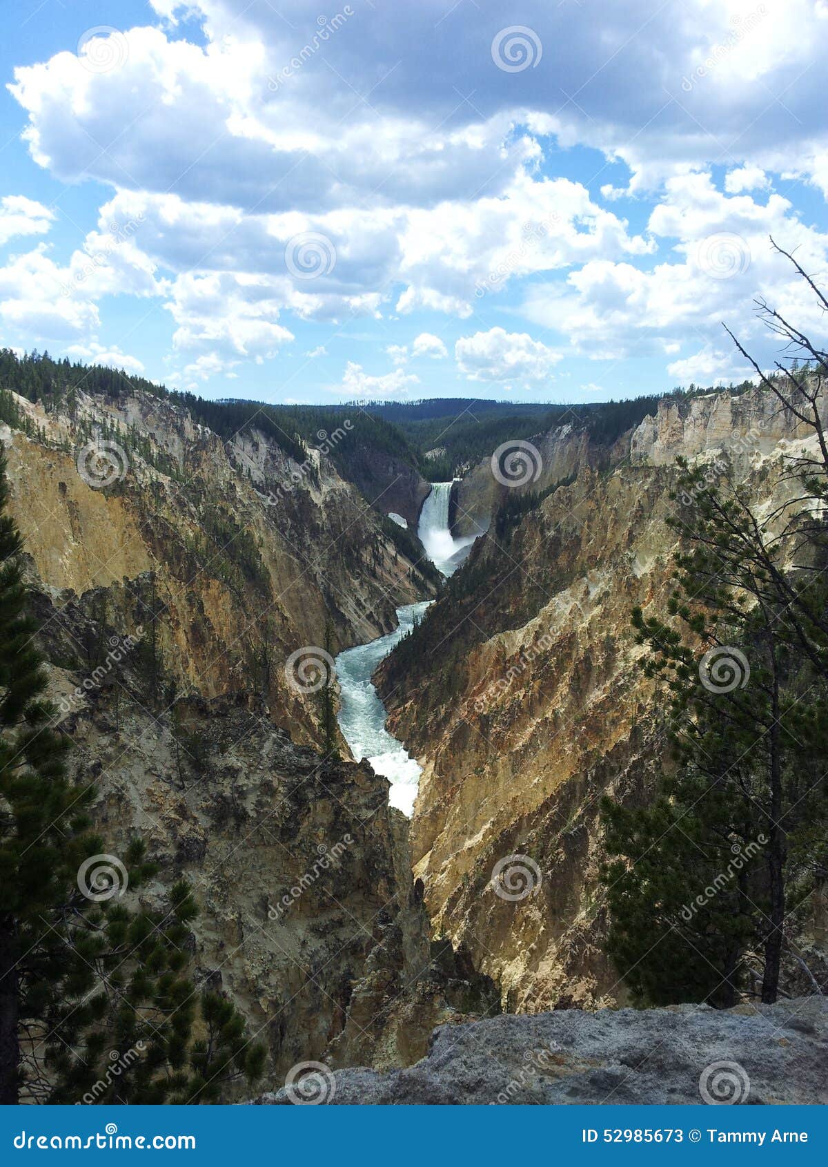 As the river winds stock image. Image of winds, flowing - 52985673