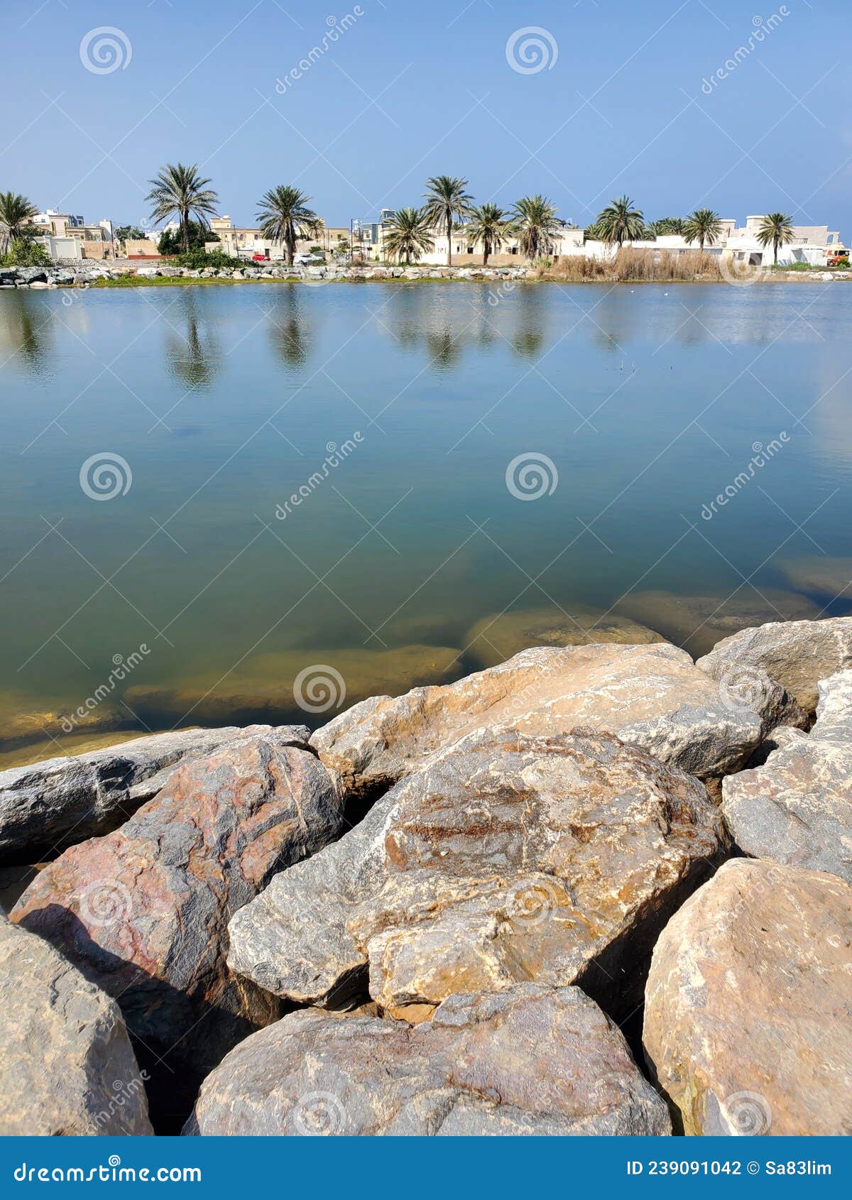 As Seeb lake, Muscat Oman stock photo. Image of plant - 239091042