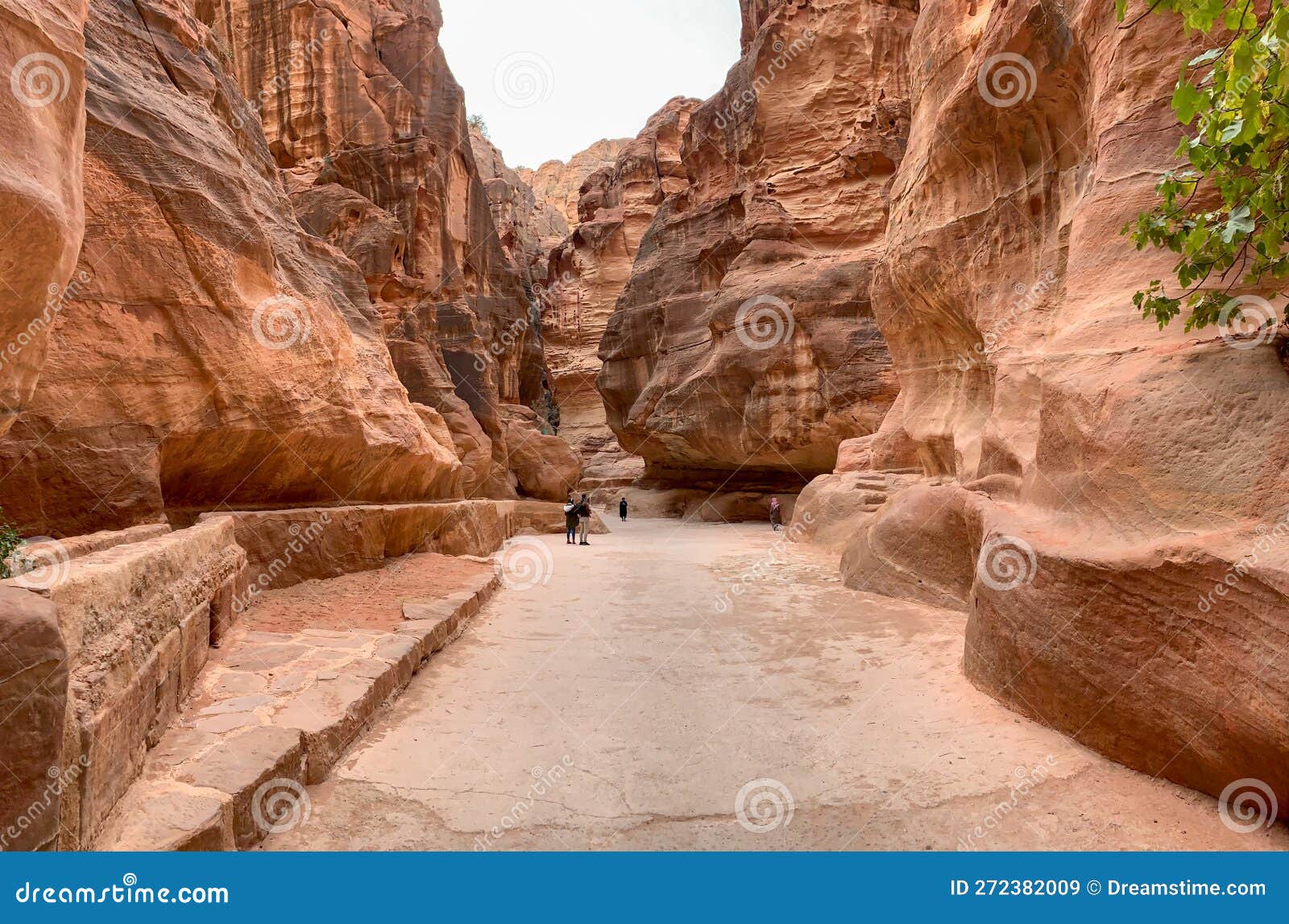 As Siq the Main Entrance of Petra Stock Image - Image of city ...