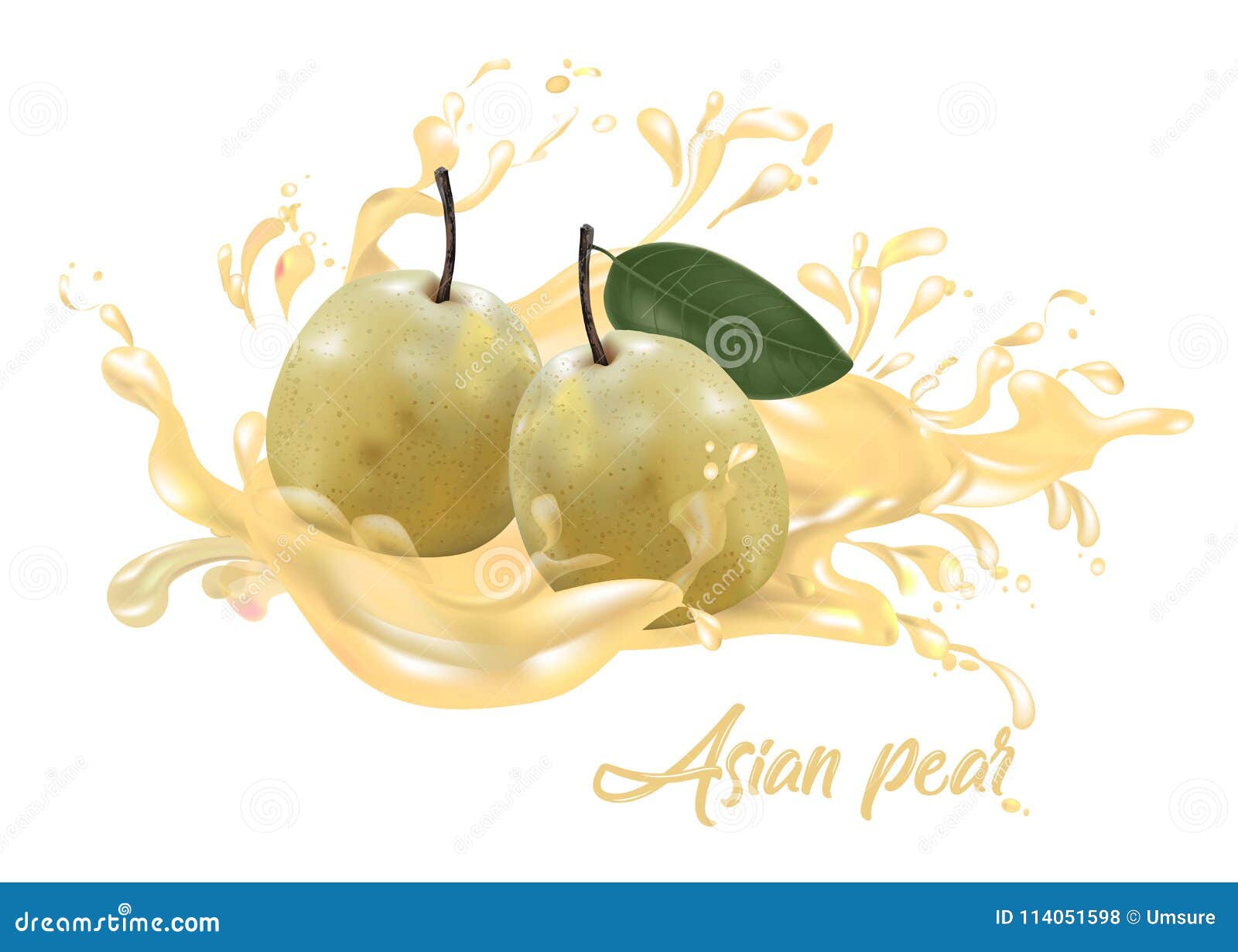 Asain Pear in Splash,vector Illusration Stock Vector - Illustration of ...