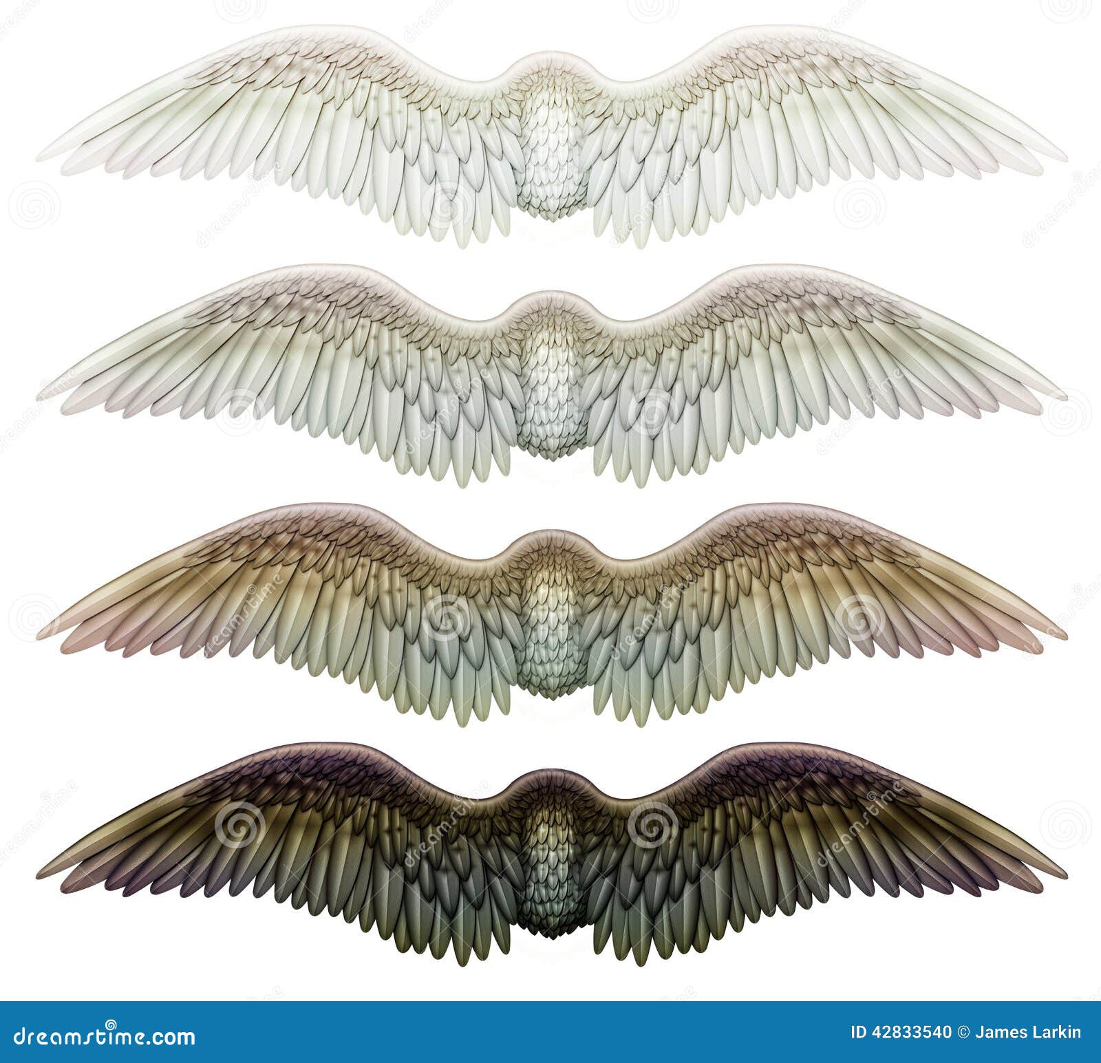 Asas ilustração stock. Ilustração de vôo, fantasia, querubins - 42833540