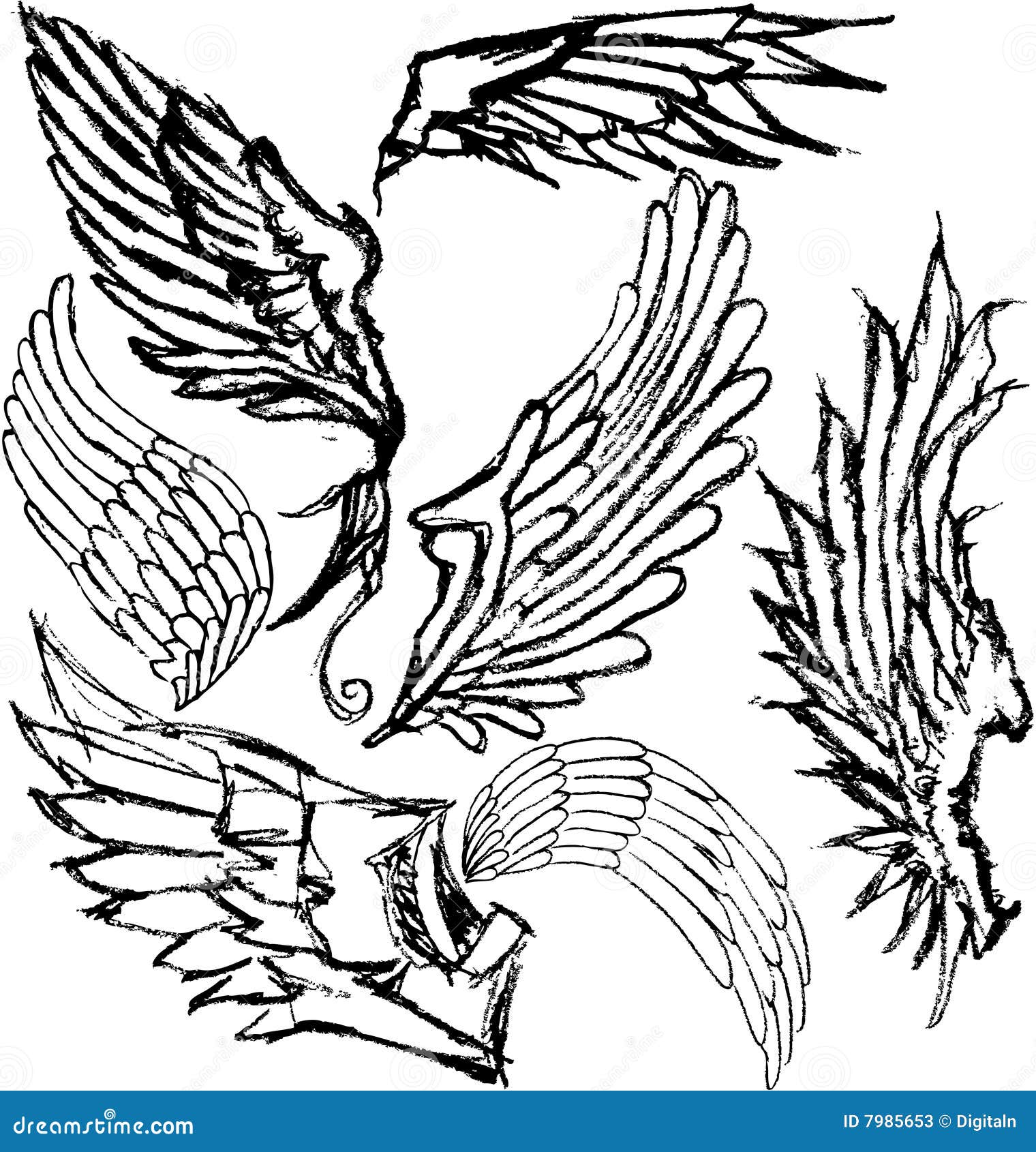 Asas Hand-drawn ilustração do vetor. Ilustração de ravina - 7985653