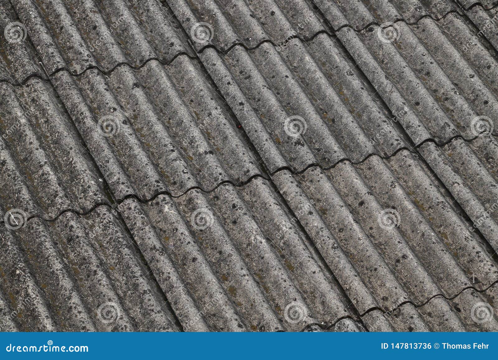 Asbestos on a roof stock photo. Image of plate, environment - 147813736