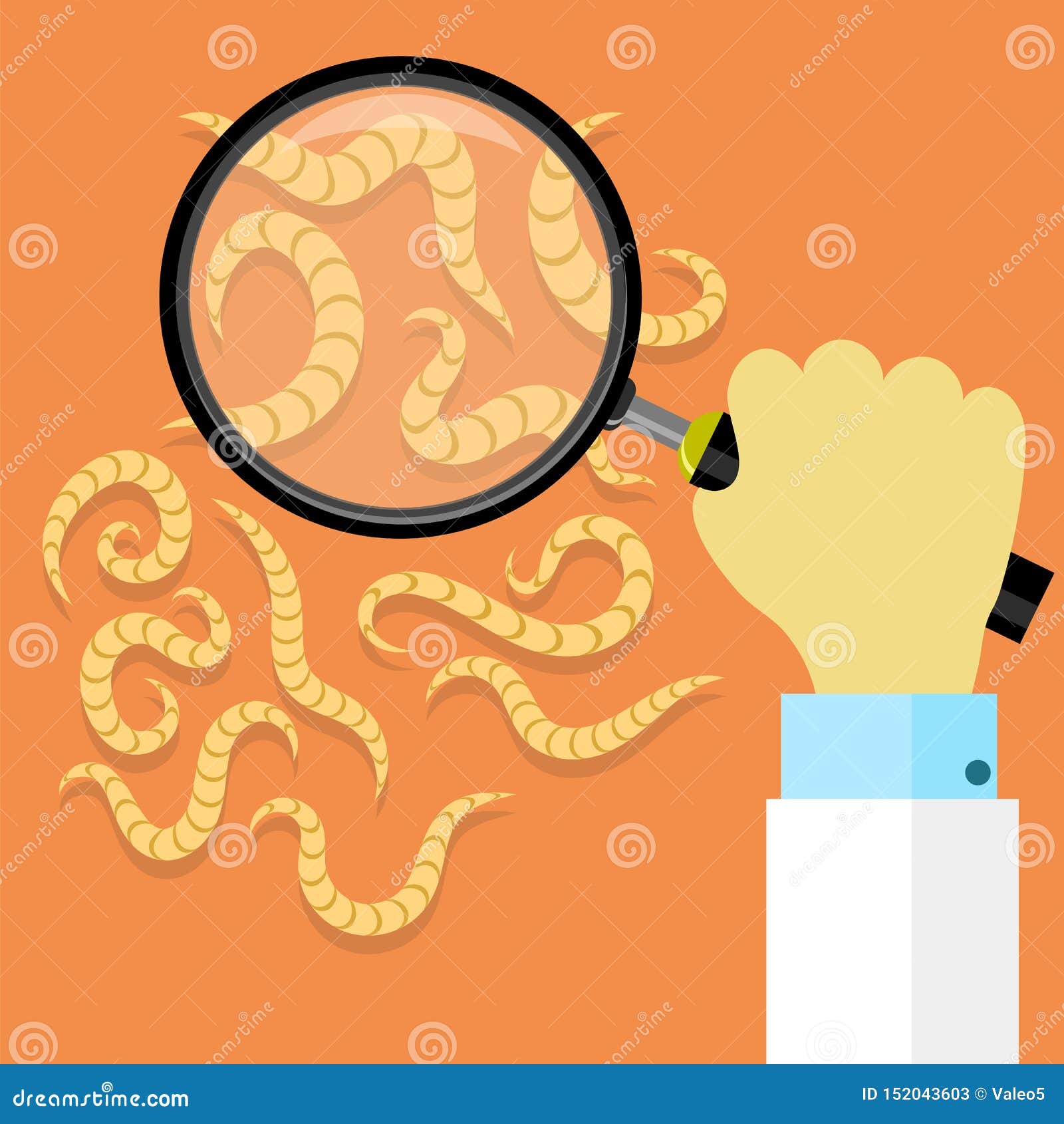 Ascarid, Helminth Pinworm Threadworm. Set of Parasite on Orange ...