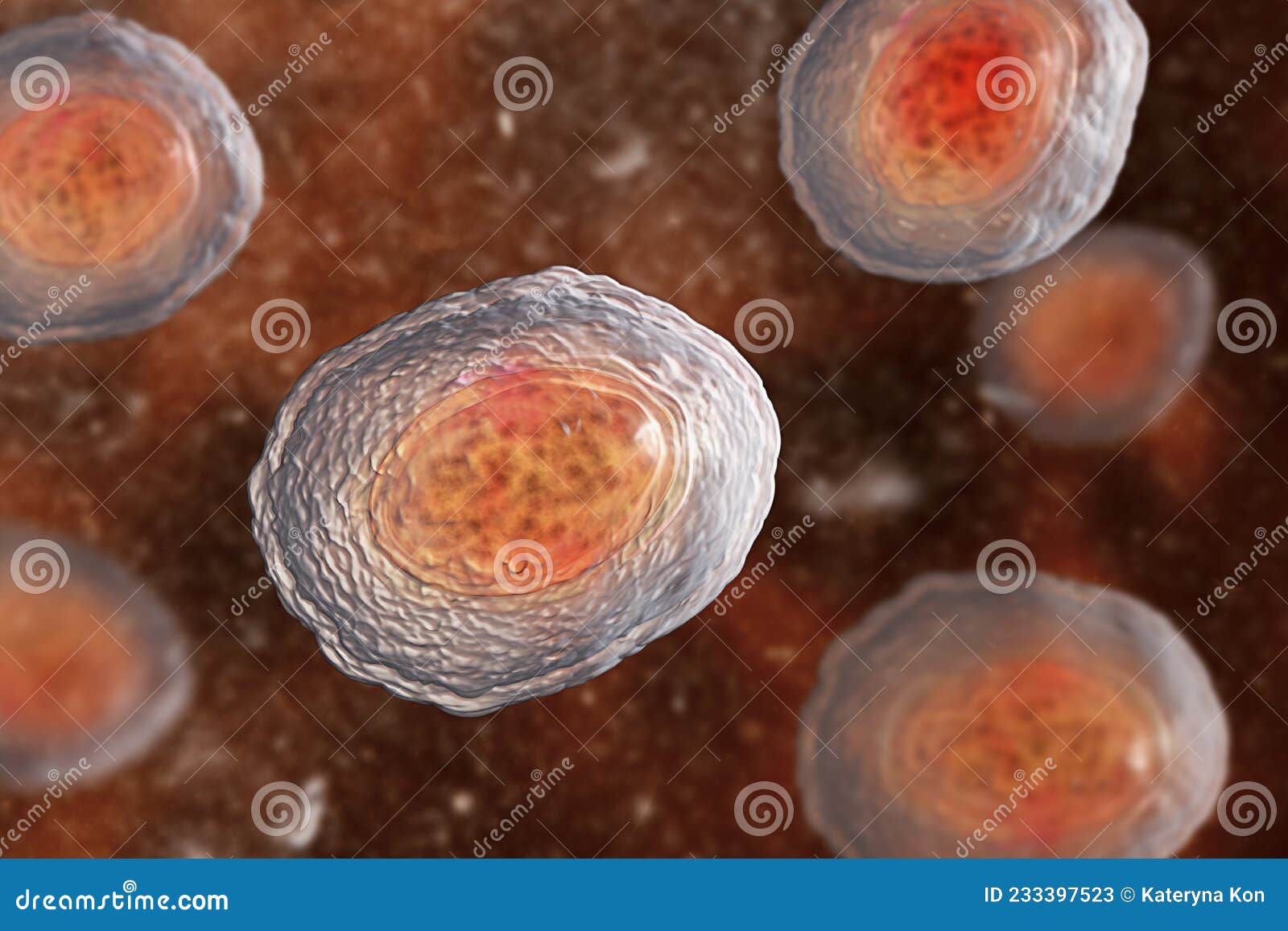 Ascaris Lumbricoides Unfertilized Egg, Illustration Stock Illustration ...