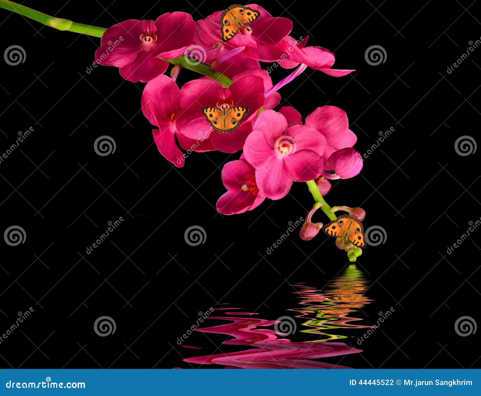 Ascda.Saint Valentine stock photo. Image of bokeh, pink - 44445522