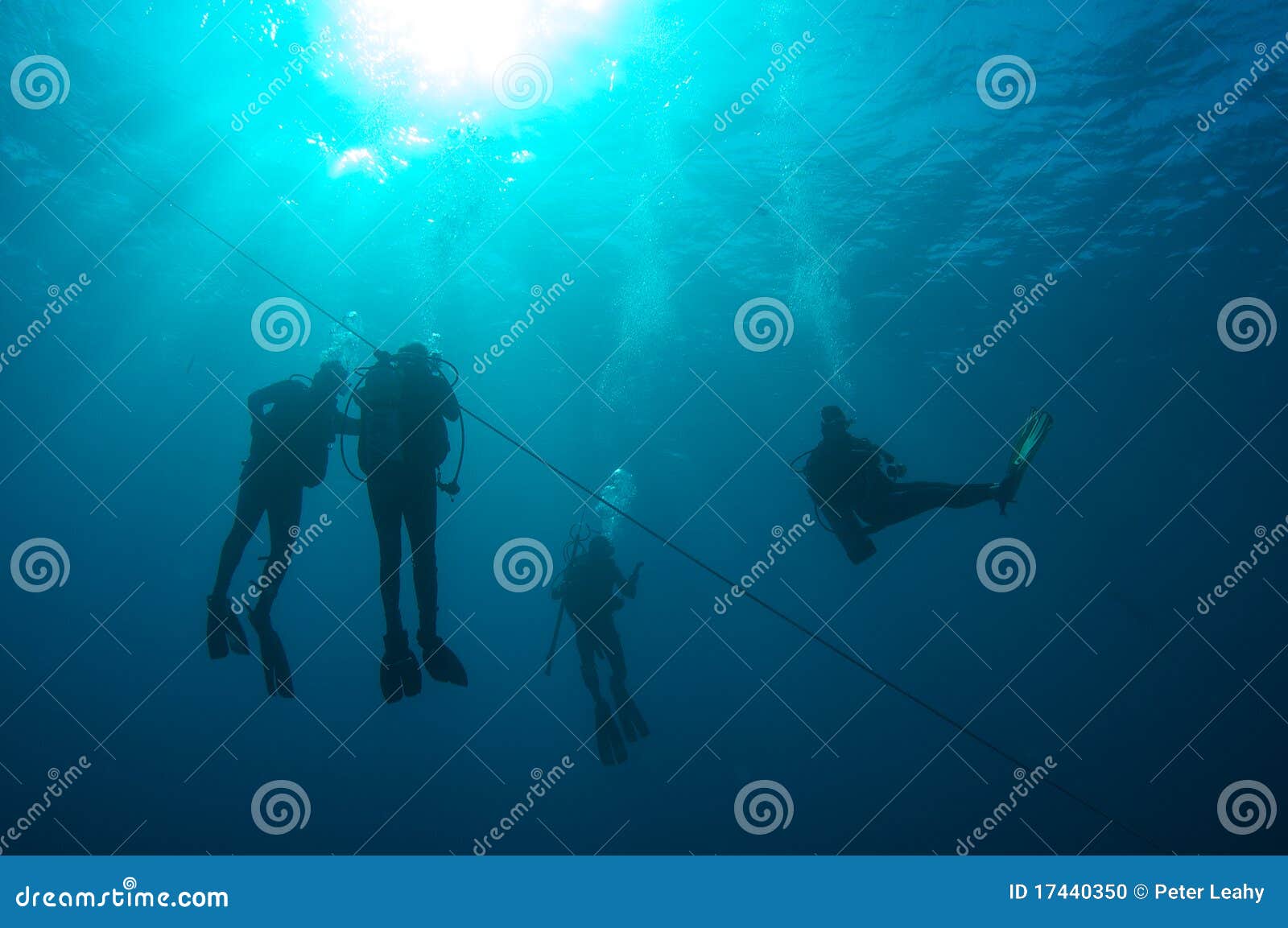 Ascending Scuba Divers stock photo. Image of coral, bottom - 17440350